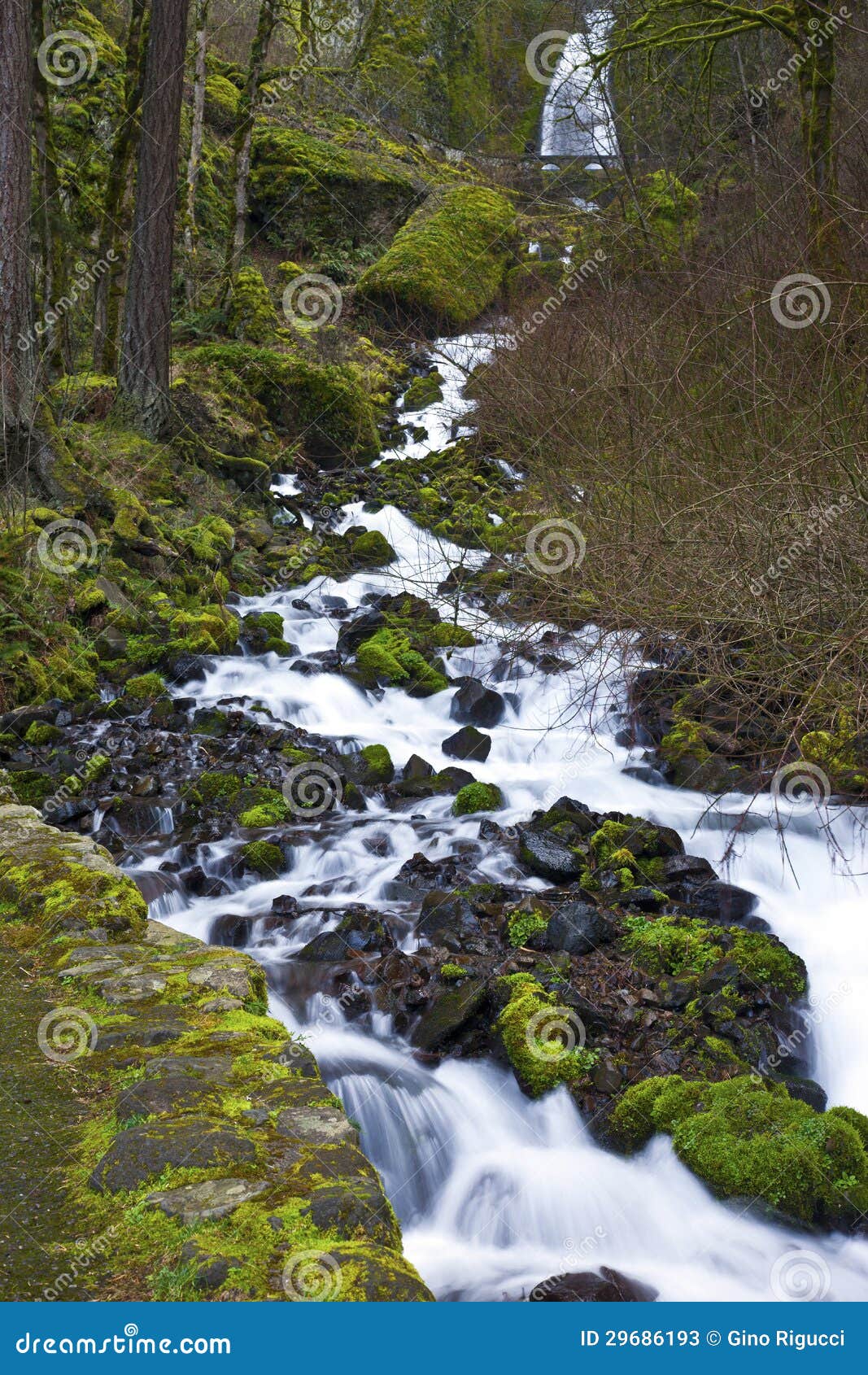 Cascading Water in the Columbia Gorge Oregon. Stock Image - Image of ...