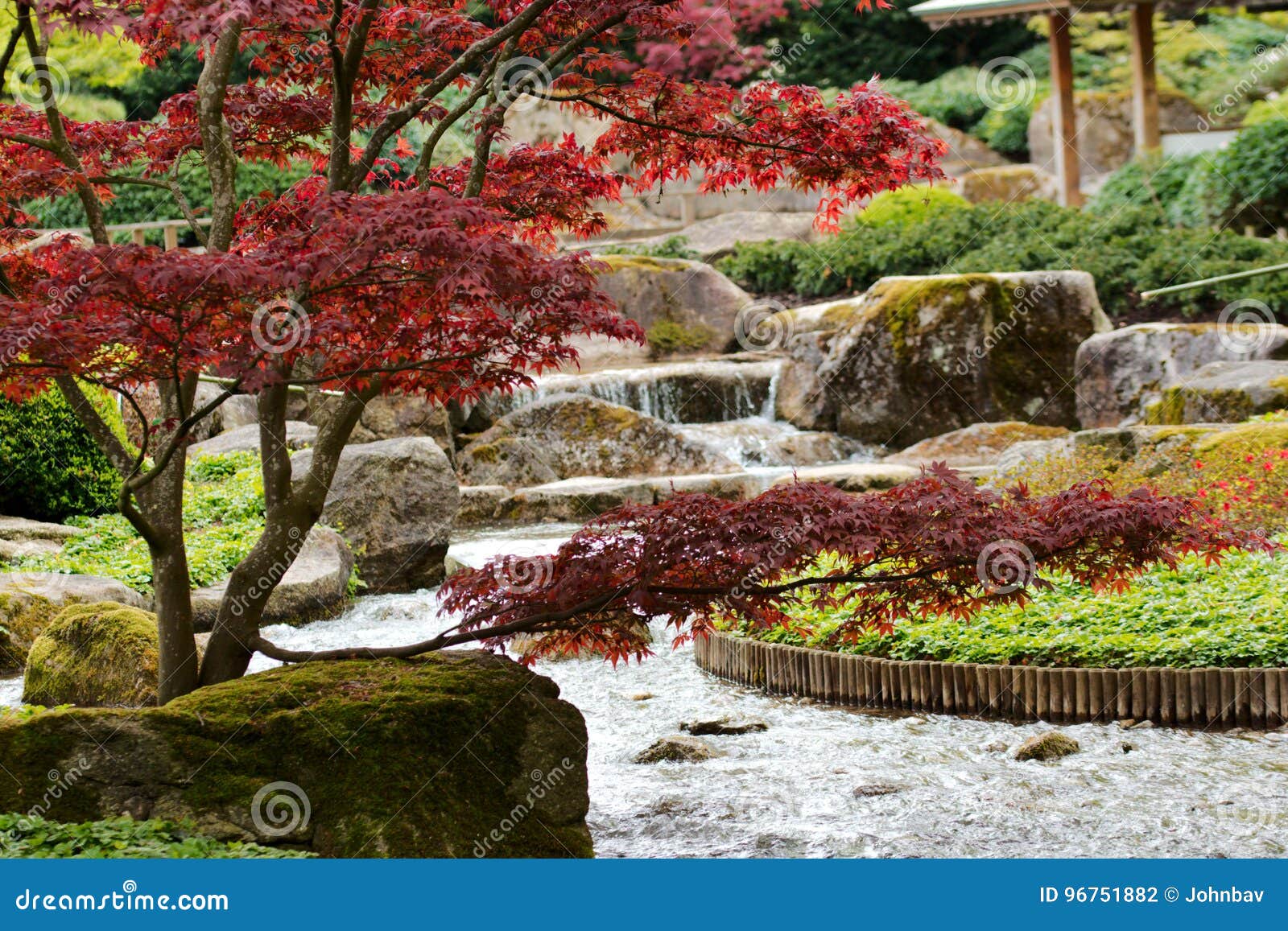 Cascading water in a park stock photo. Image of stream - 96751882