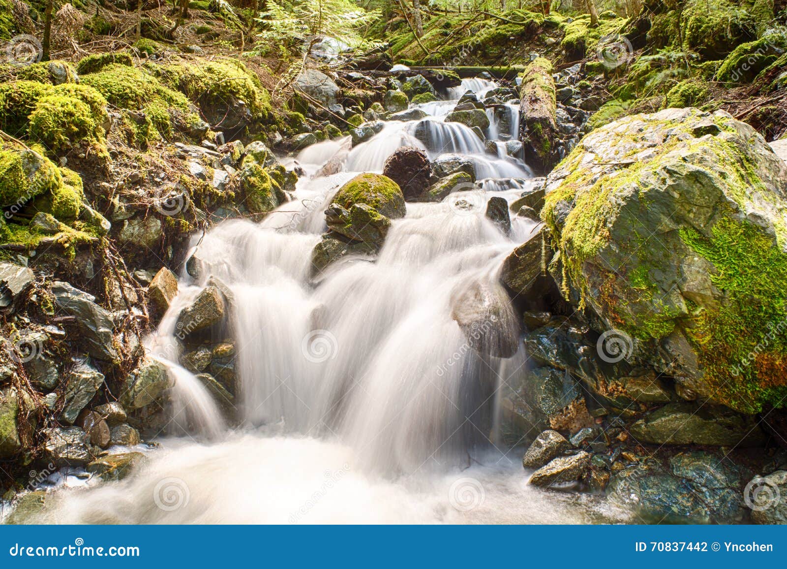 Cascading Water between Rocks Stock Photo - Image of autumn, nature ...