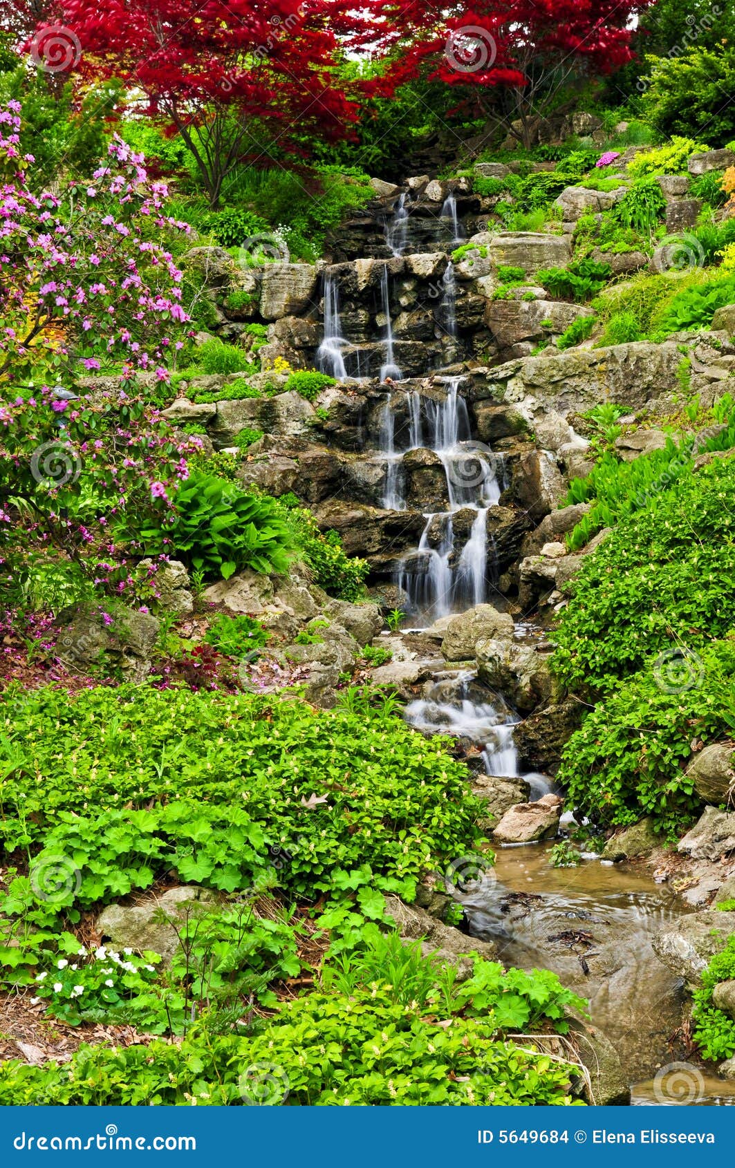 Cascading waterfall stock photo. Image of plants, falling - 5649684