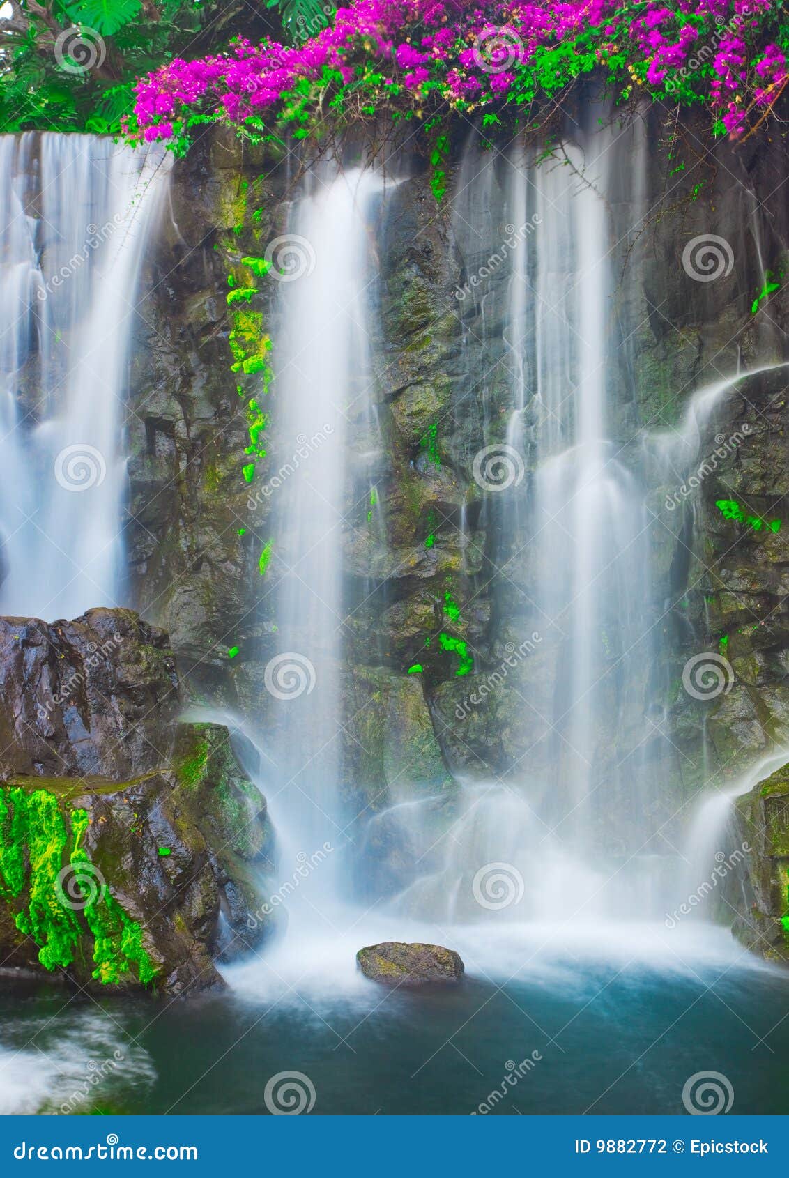 Cascading Waterfall stock photo. Image of flowing, life - 9882772