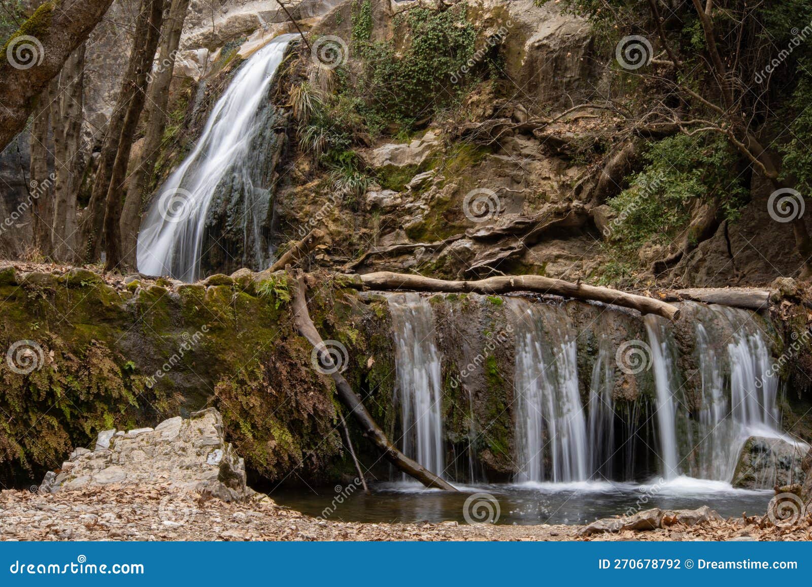 Cascading Waterfall among the Branches of Trees Stock Photo - Image of ...