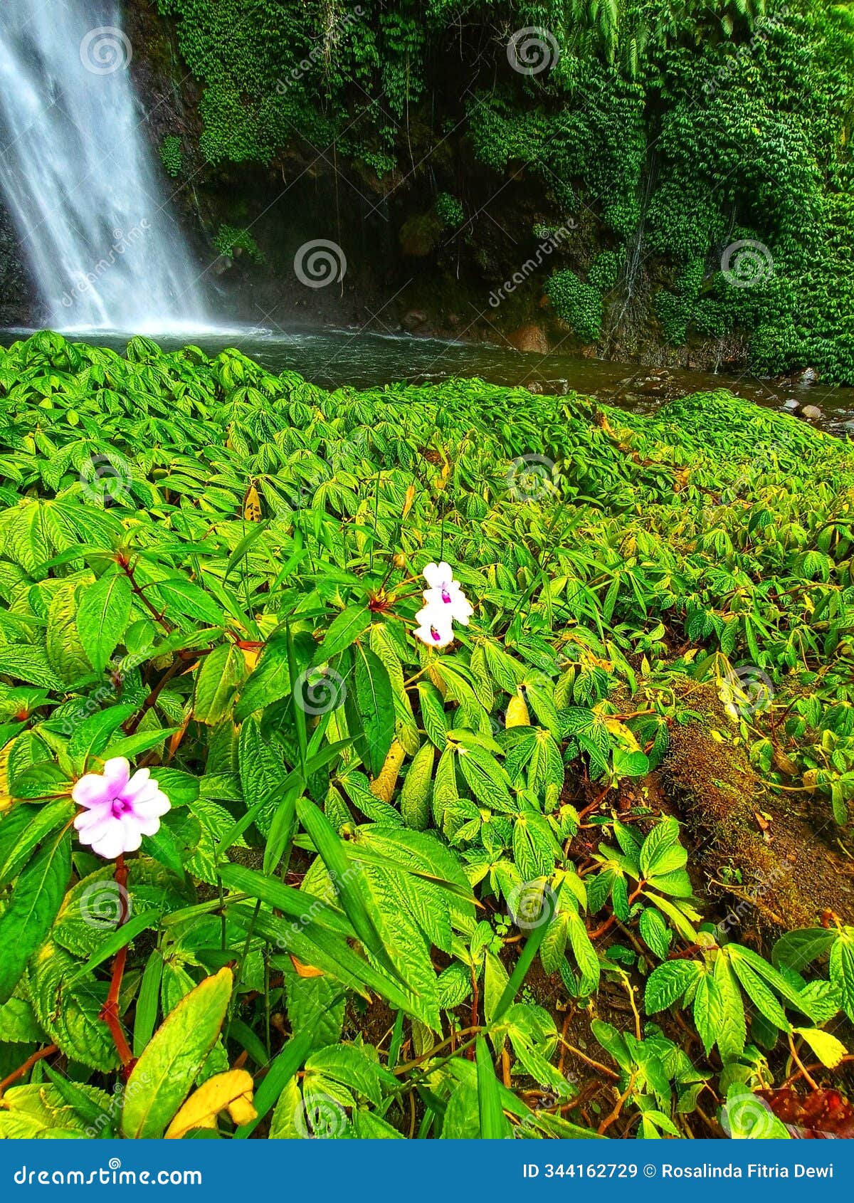 A Cascading Waterfall Flows into a Pool Surrounded by Lush Greenery and ...