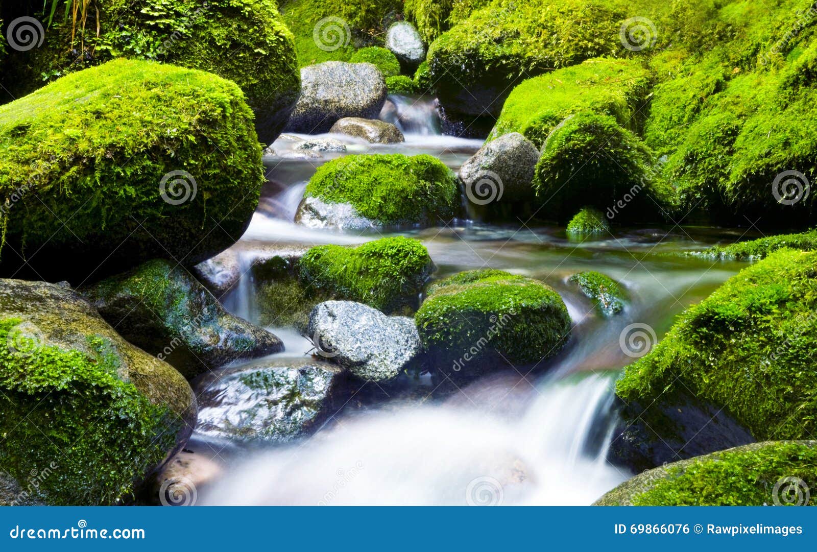 Cascading Waterfall Fresh Nature Green Environment Concept Stock Photo ...