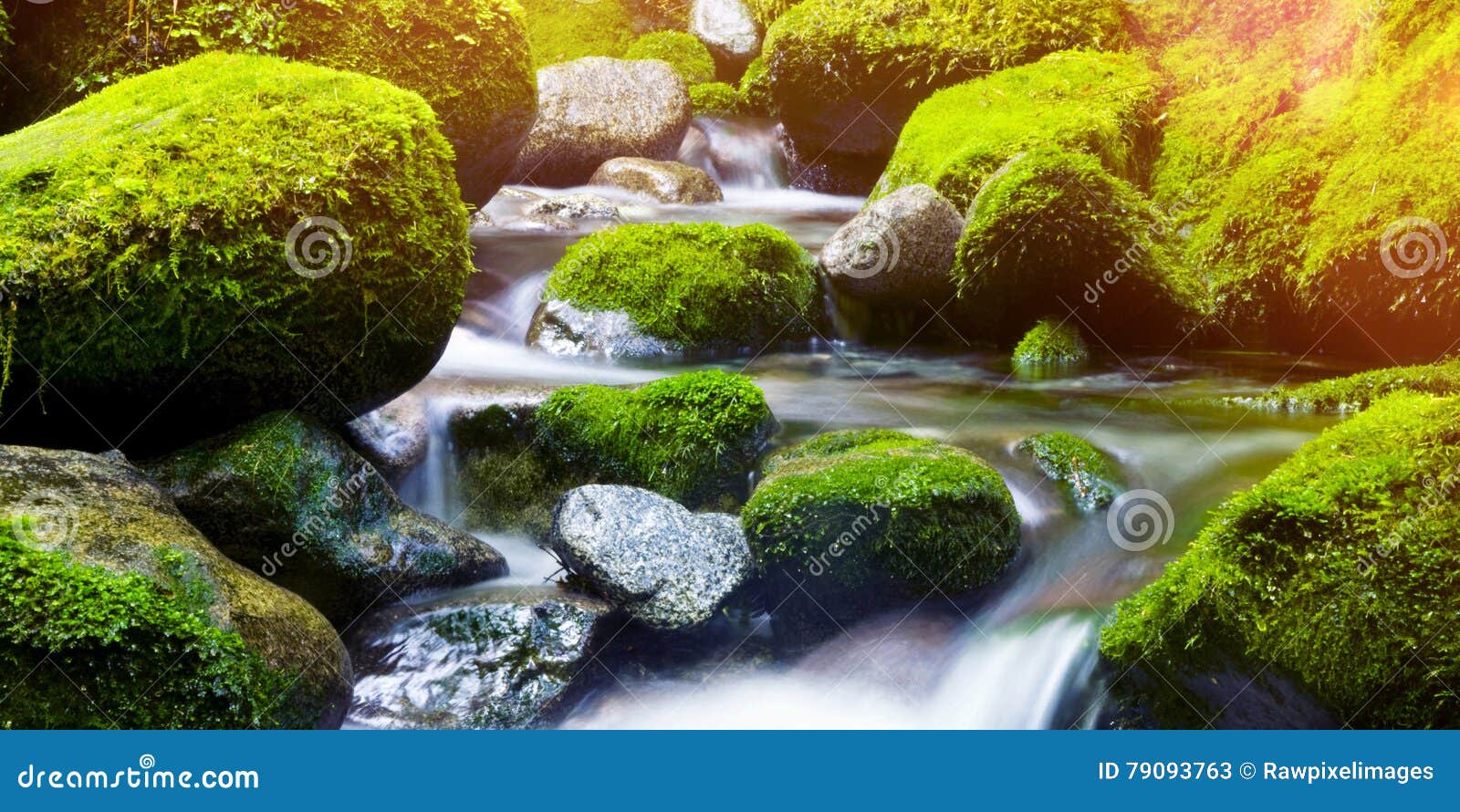 Cascading Waterfall Fresh Nature Green Environment Concept Stock Image ...