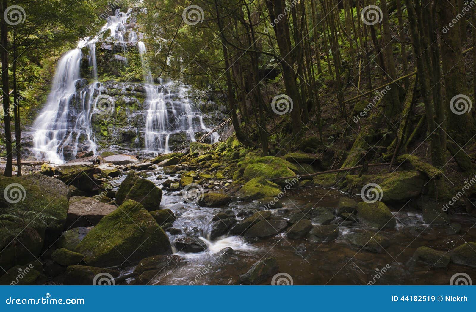 Cascading Waterfall stock image. Image of foliage, flow - 44182519