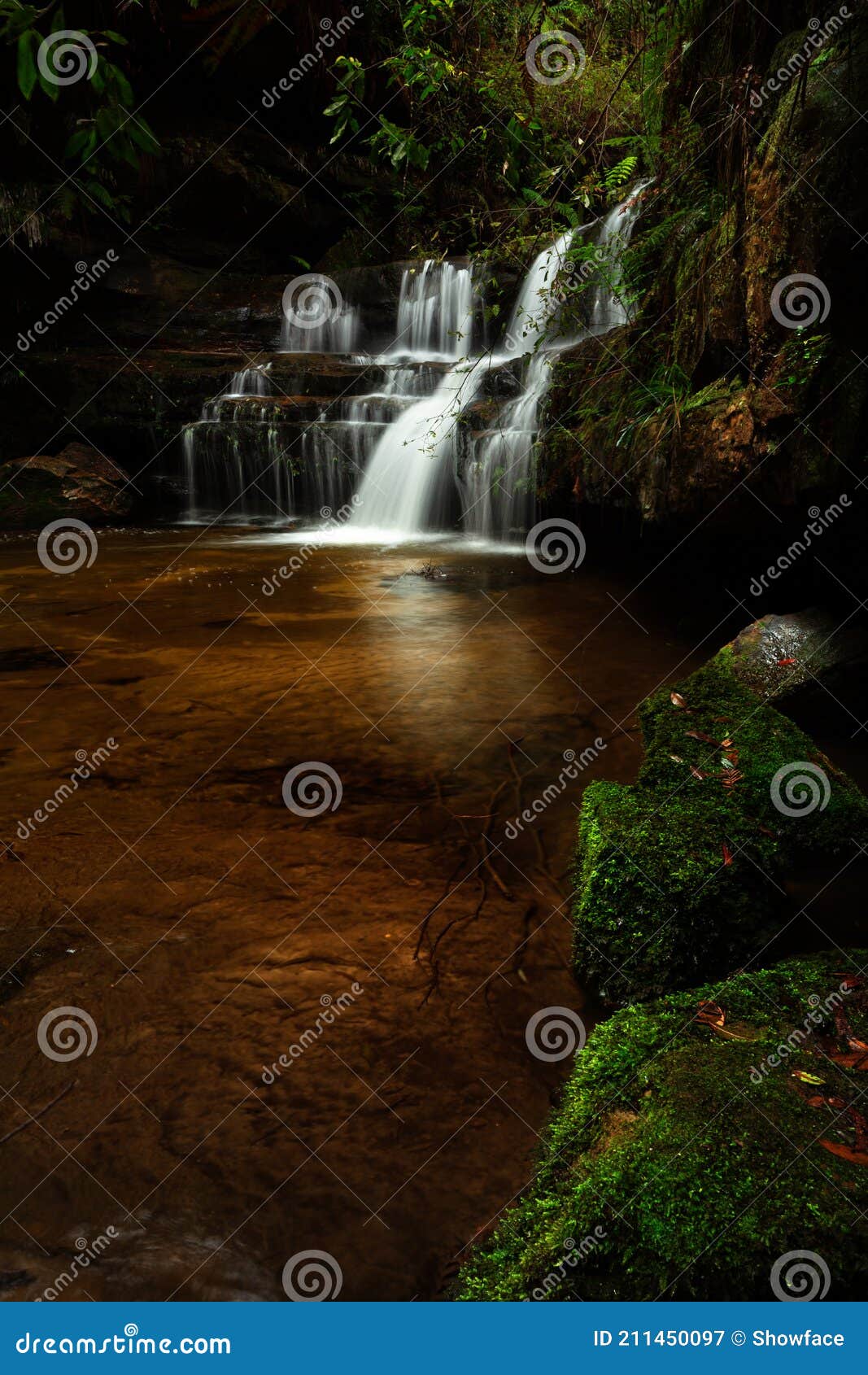 Cascading Waterfall in Lush Bush Land Australia Stock Image - Image of ...