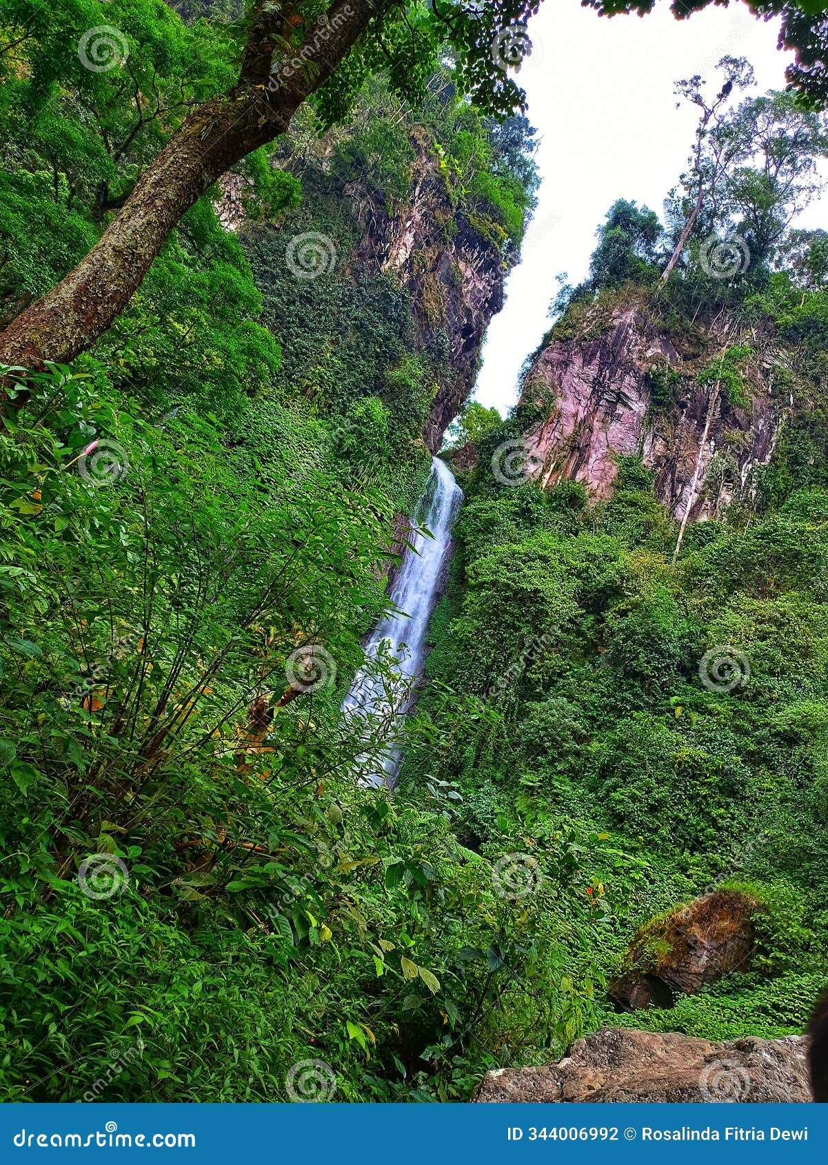 A Cascading Waterfall Plunges through a Lush, Green Rainforest ...