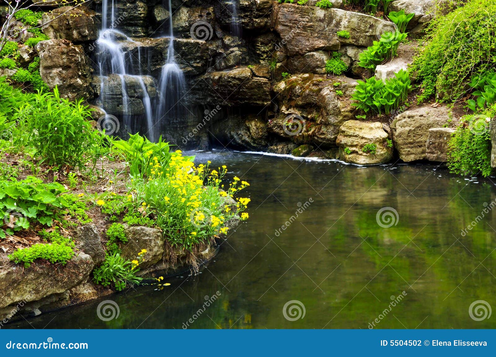 Cascading Waterfall and Pond Stock Photo - Image of outdoor ...