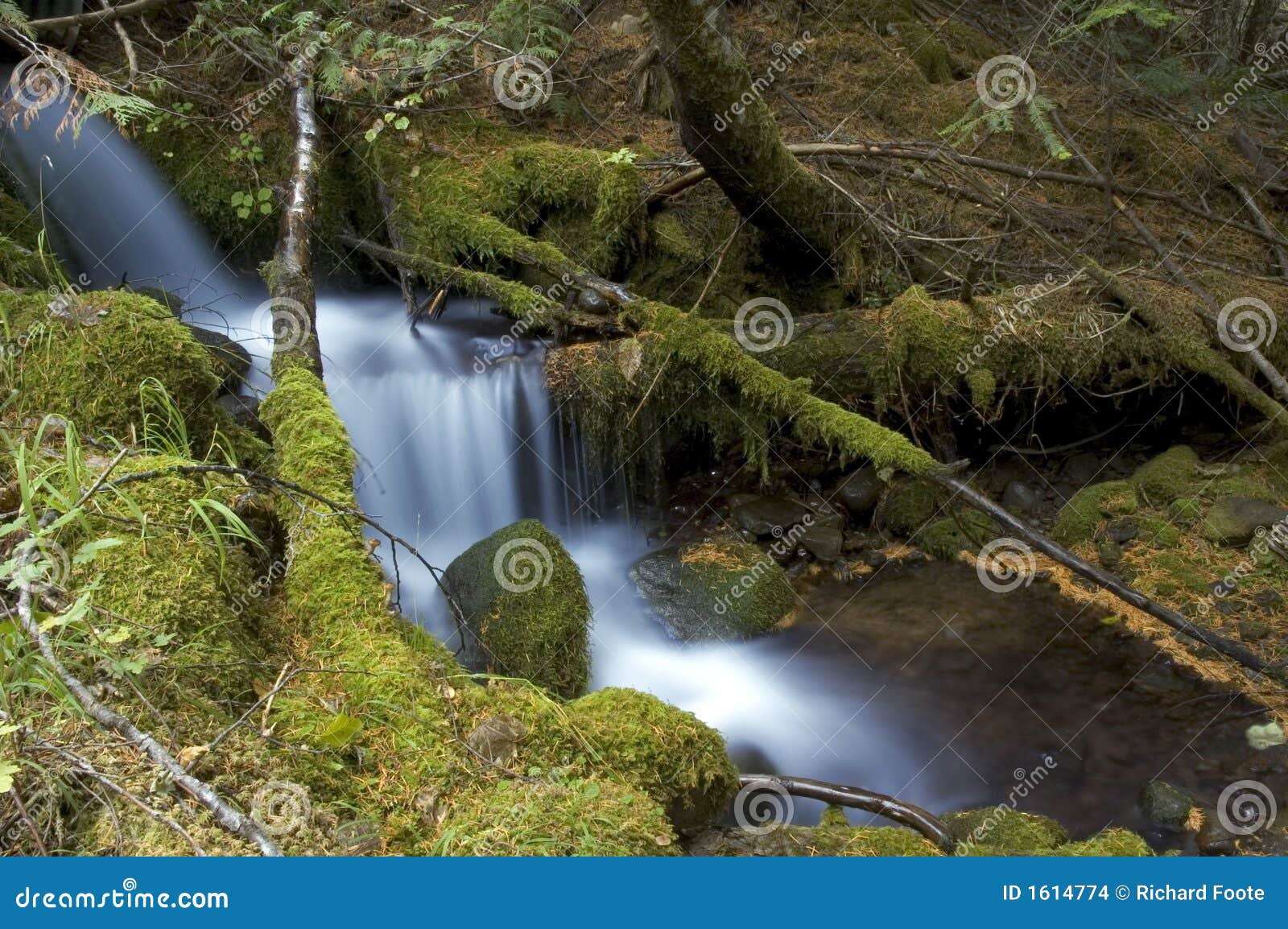 Cascading Waters stock photo. Image of peaceful, geography - 1614774