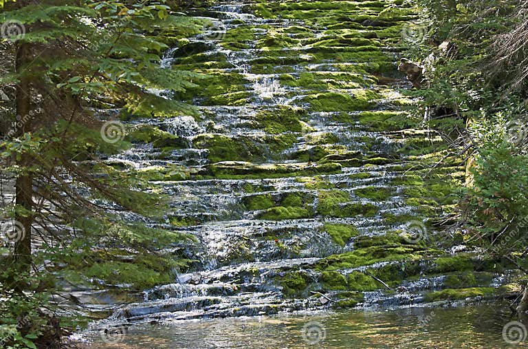Cascading wilderness brook stock photo. Image of park - 22120390