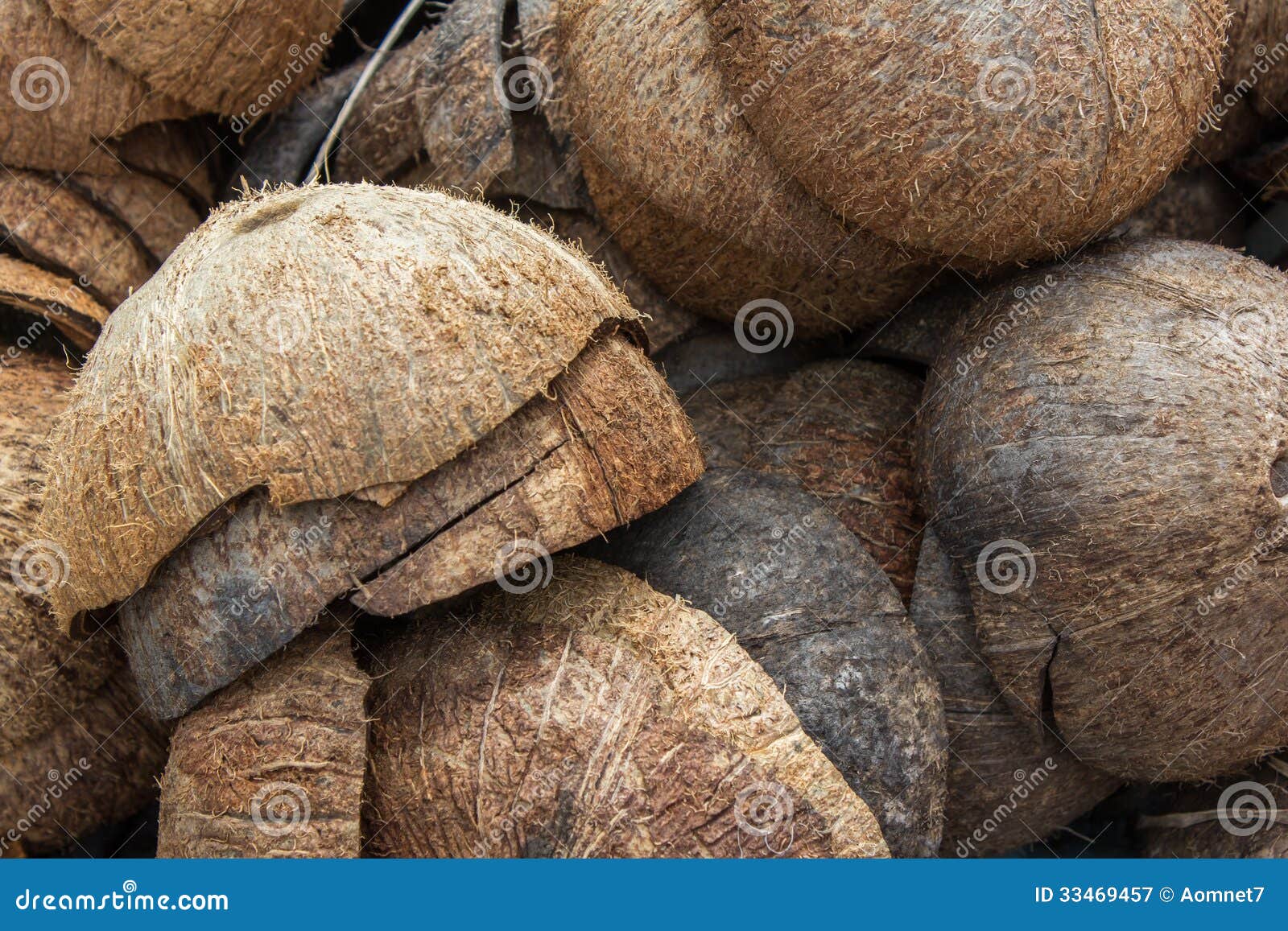 Cascas do coco imagem de stock. Imagem de reciclagem - 33469457