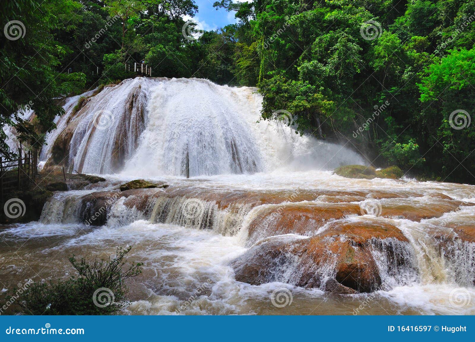 Cascata Di Azul Del Agua, Messico Immagine Stock - Immagine di verde ...