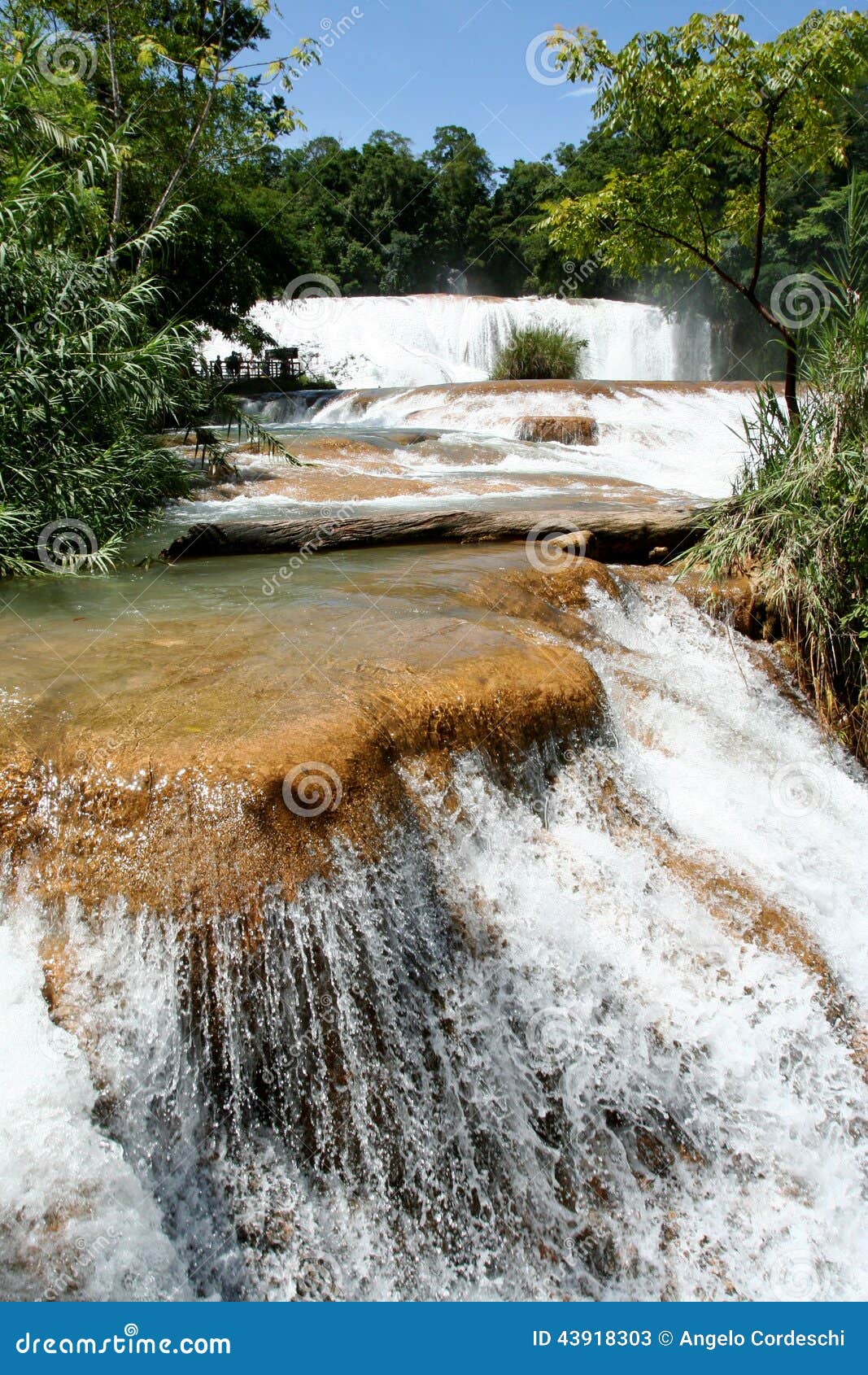 Cascata Di Azul Del Agua, Messico Immagine Stock - Immagine di lago ...