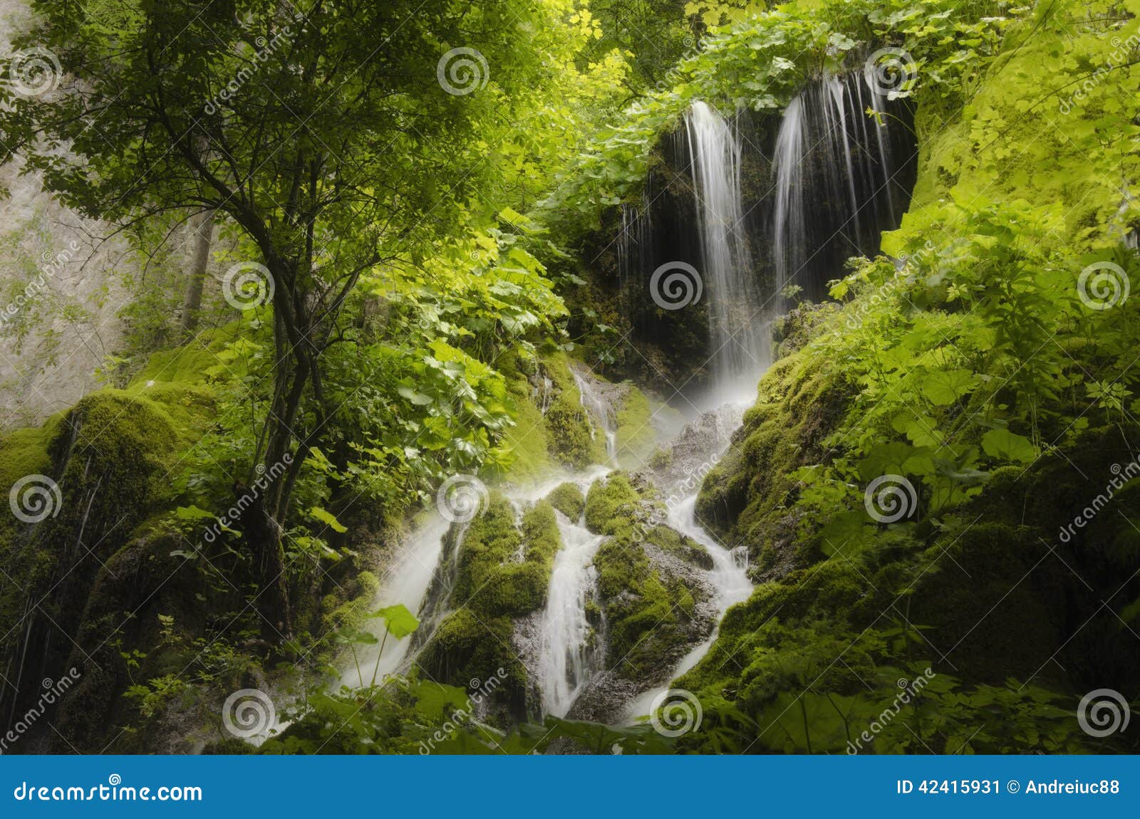 Cascata E Vegetazione Densa in Foresta Verde Immagine Stock - Immagine ...