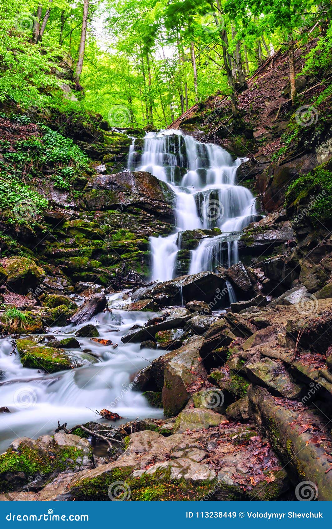 Cascata Nella Foresta Verde Immagine Stock - Immagine di foresta ...
