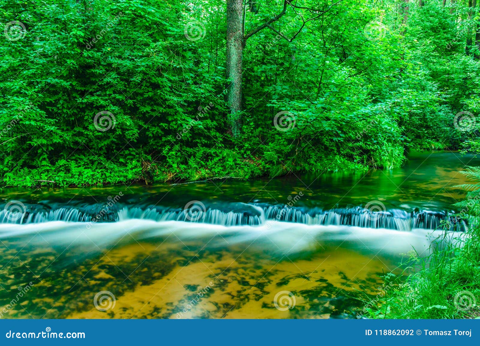 Cascatas no rio raso foto de stock. Imagem de ambiental - 118862092
