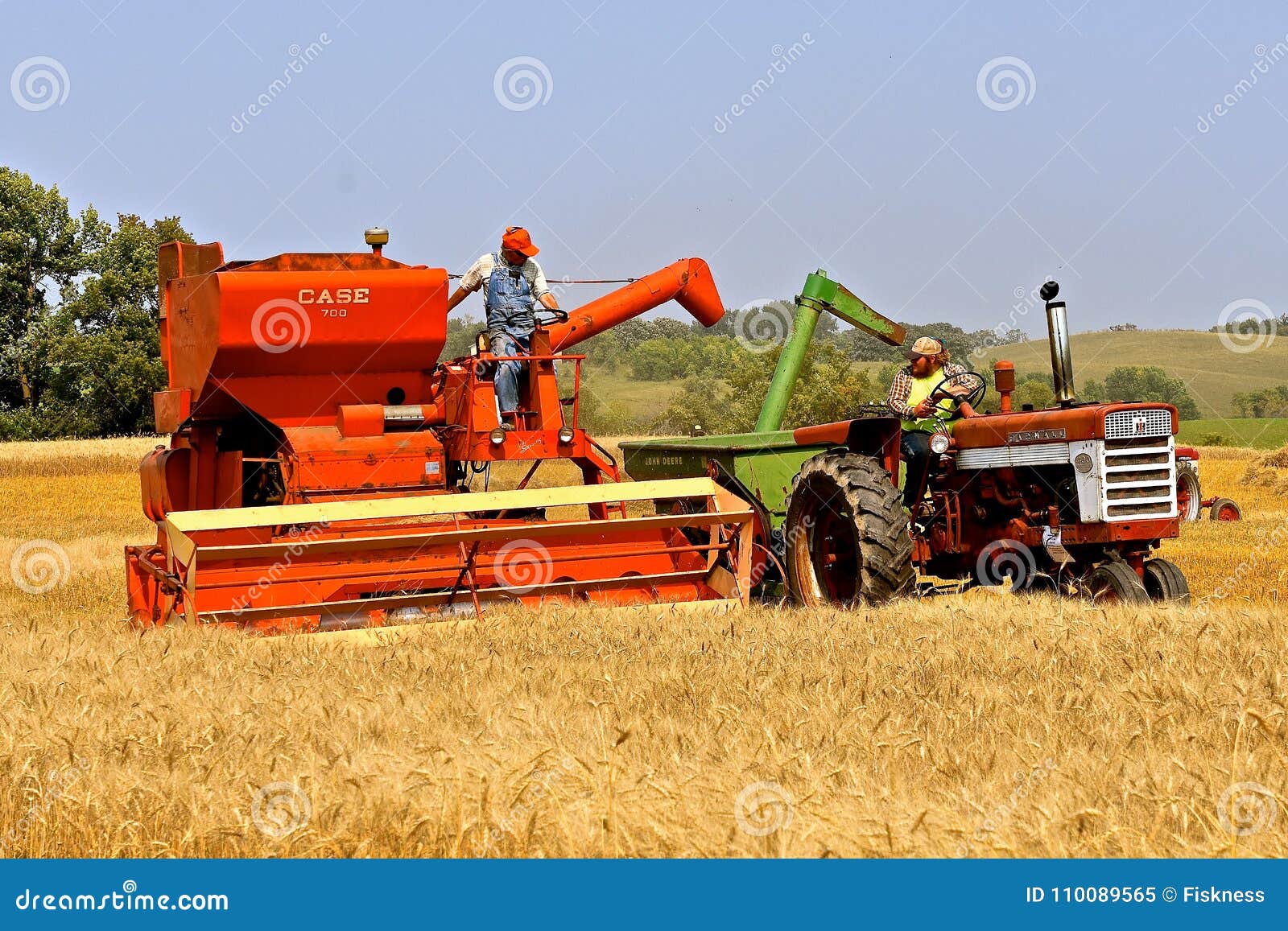 Case 700 Combine Unloading Grain from the Hopper Editorial Image ...