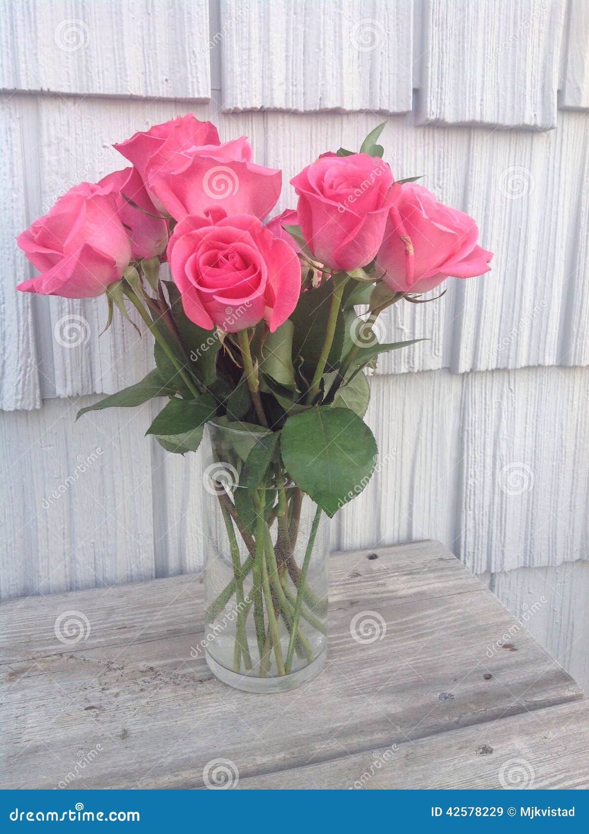 Vase of pink roses stock image. Image of vase, stems - 42578229