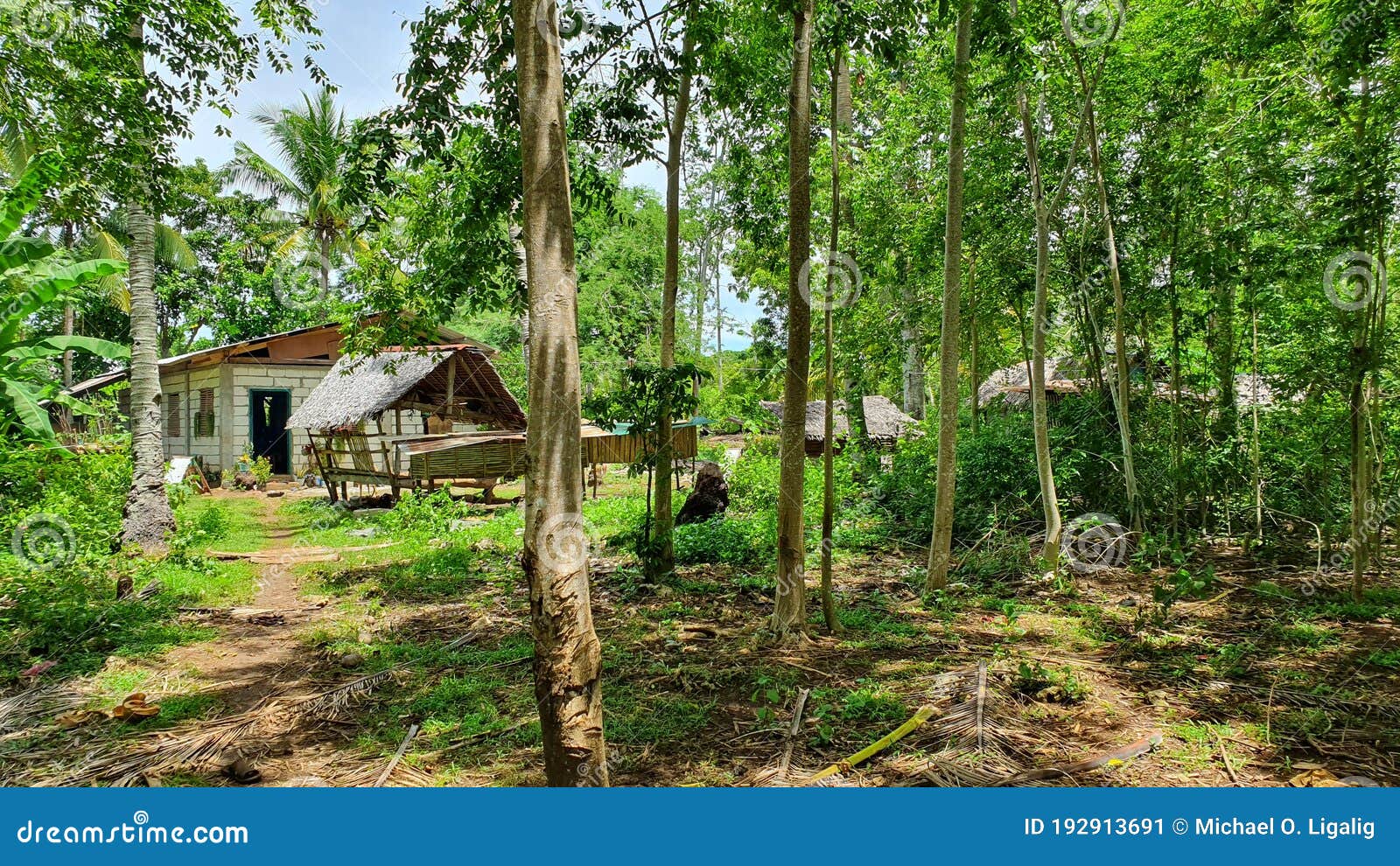 Case in Remote Aree Rurali in Filippina Immagine Stock - Immagine di ...