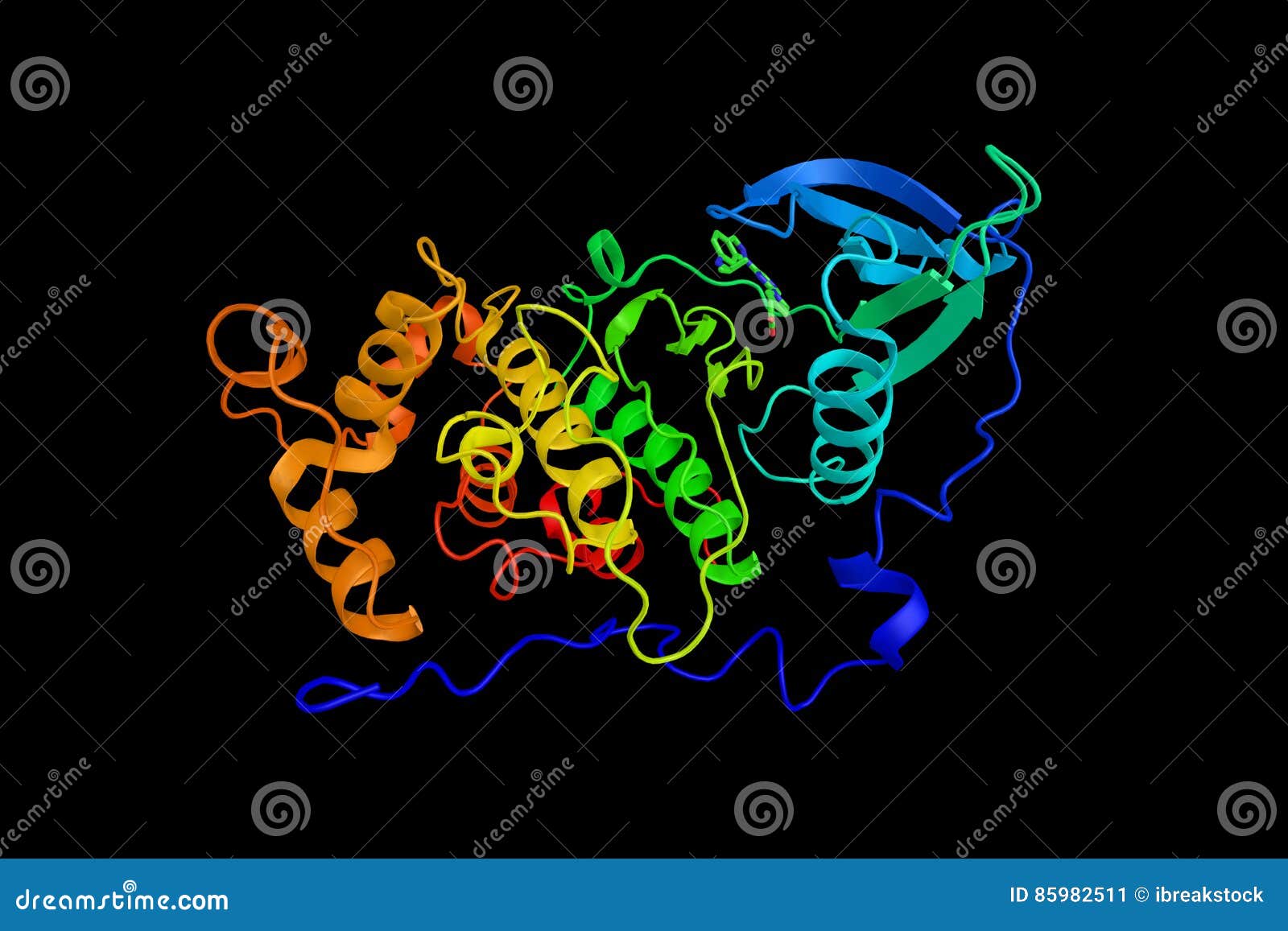 Casein Kinase II Subunit Alpha, an Enzyme Which Has Been Shown T Stock ...