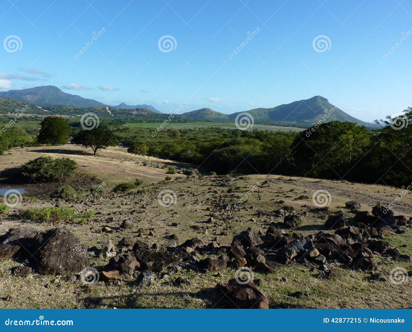 Casela Nature Park stock image. Image of reserve, summer - 42877215