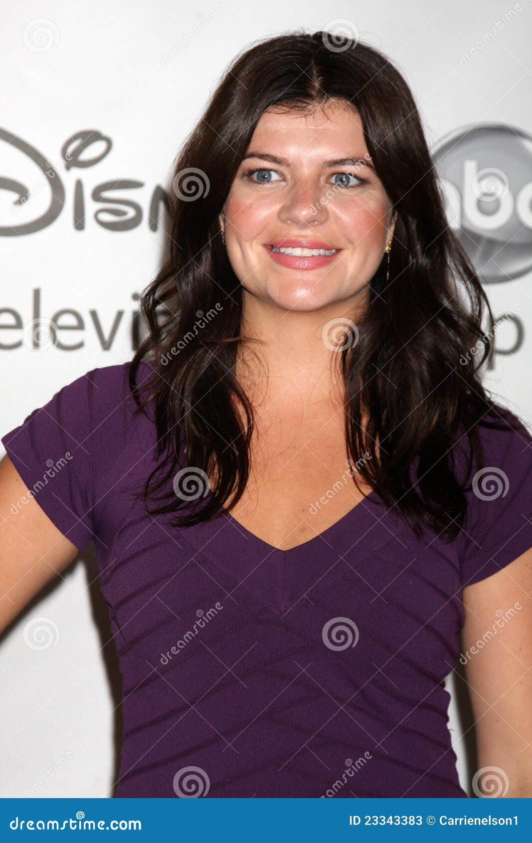 Casey Wilson editorial stock photo. Image of hilton, summer - 23343383