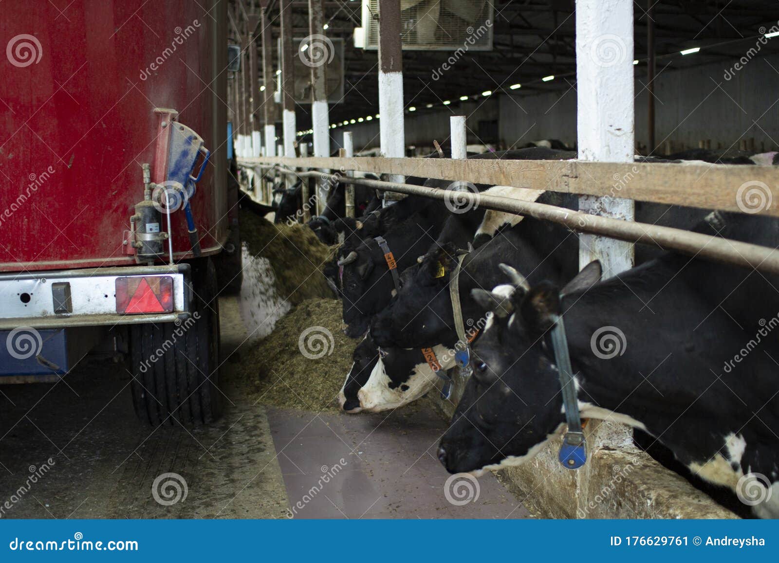 Tractor With Silage Trailer, Freshly Mown Grassland And Road With Trees ...