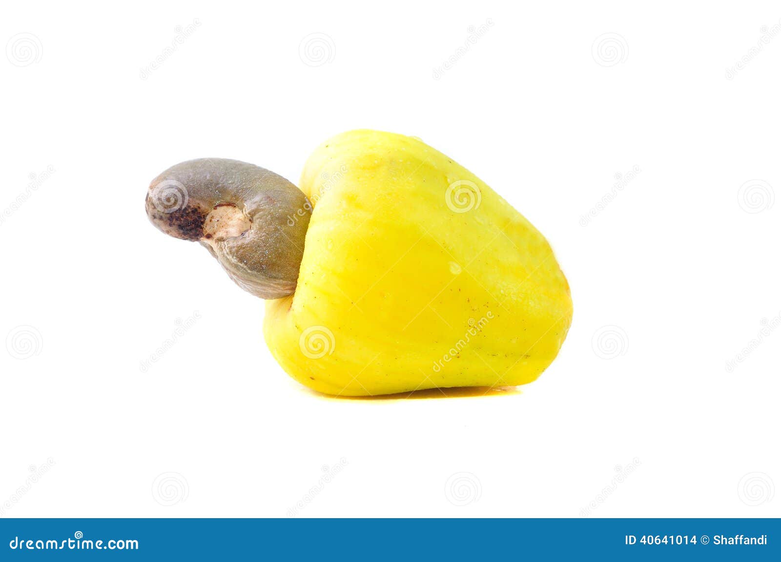 Cashew fruit stock photo. Image of isolated, natural - 40641014