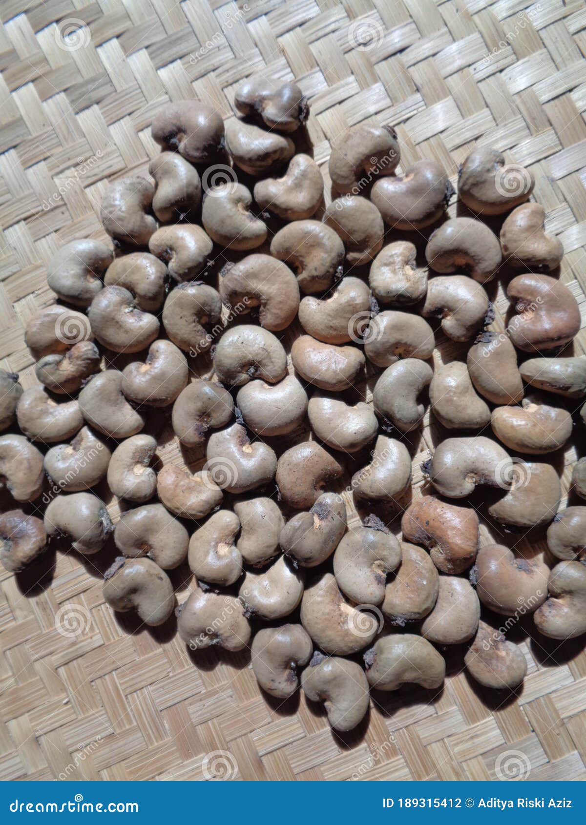 Cashew Nut on the Drying Process with a Natural Background Stock Photo ...