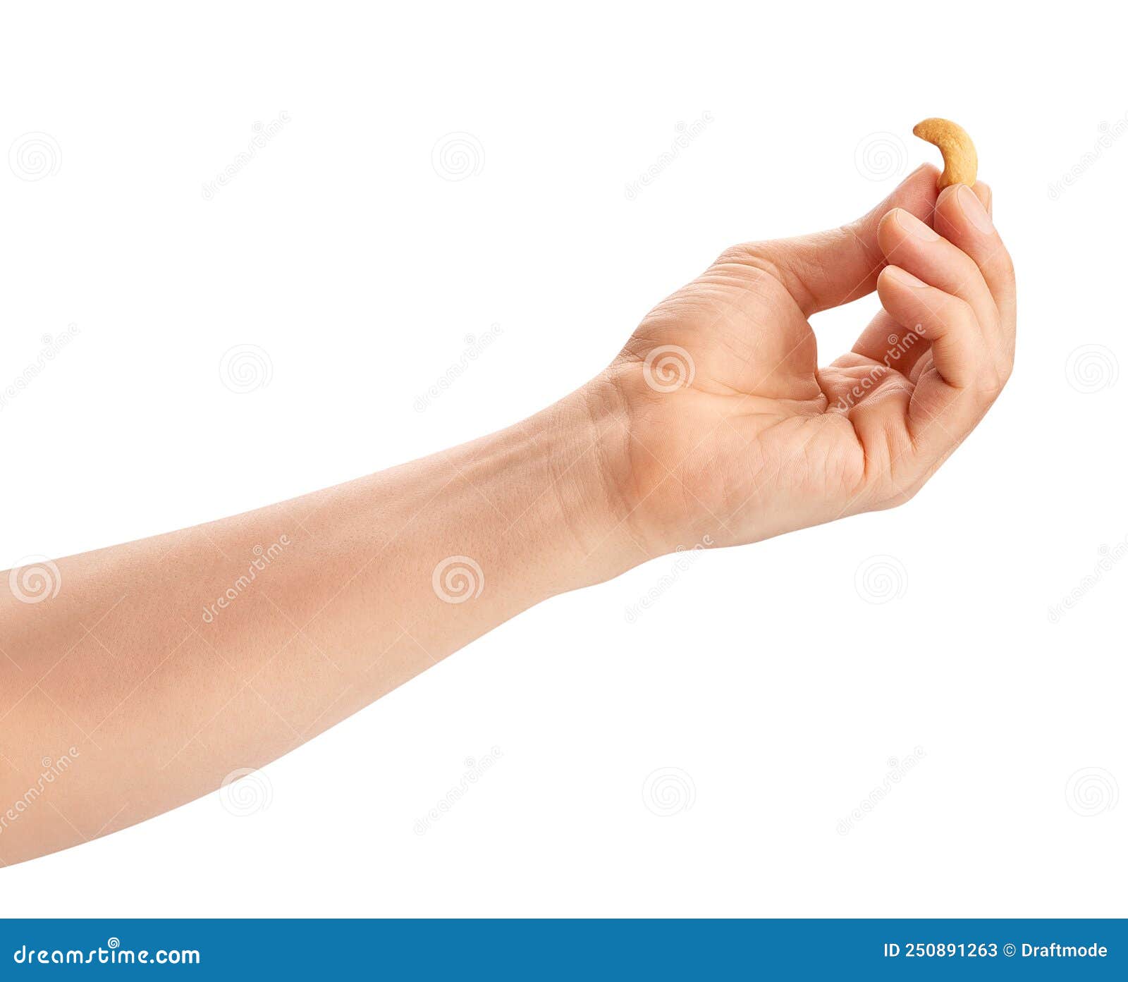 Cashew nut in hand stock image. Image of single, studio - 250891263