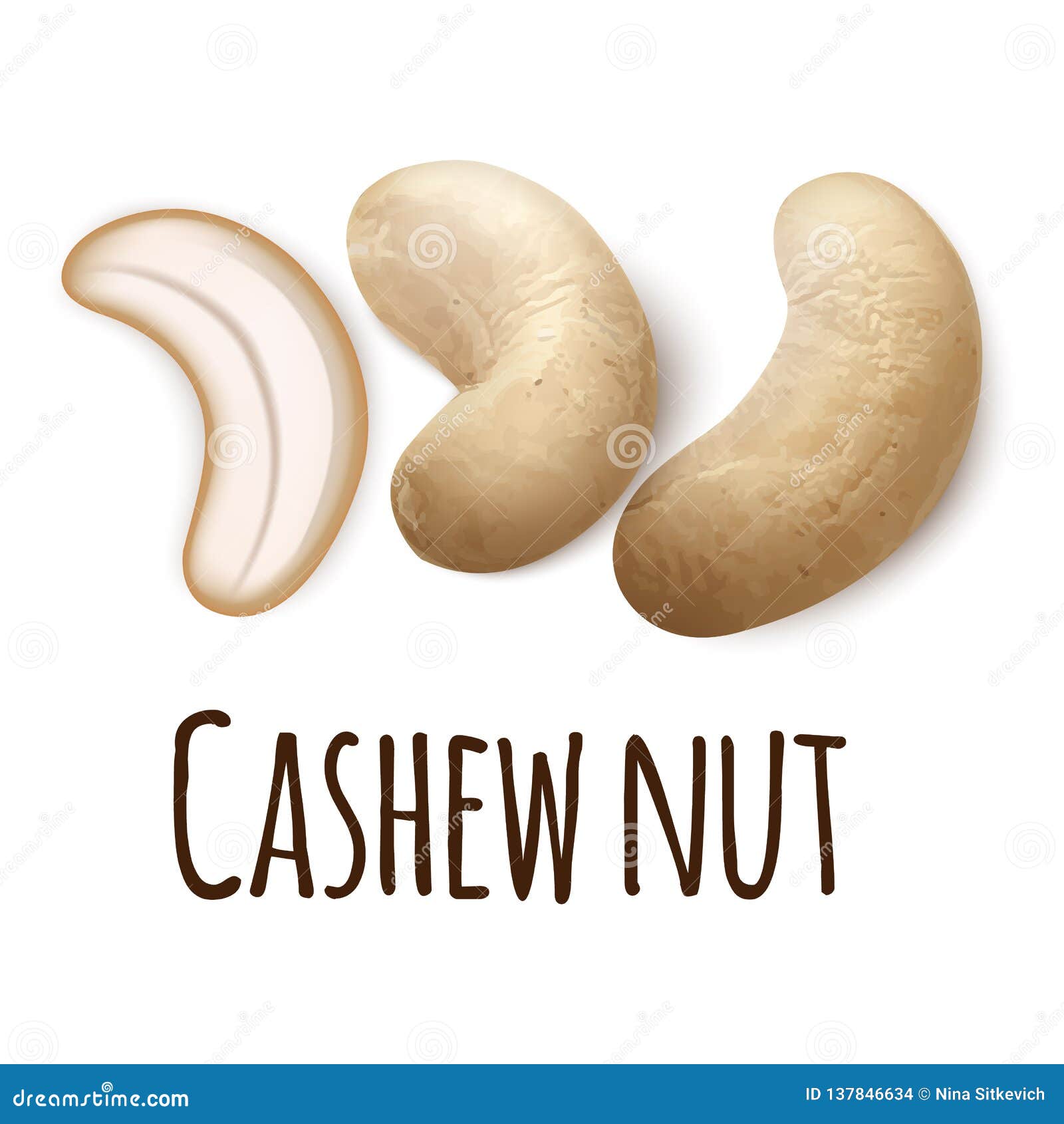 Cashew Nut Icon, Realistic Style Stock Vector - Illustration of fresh, group: 137846634