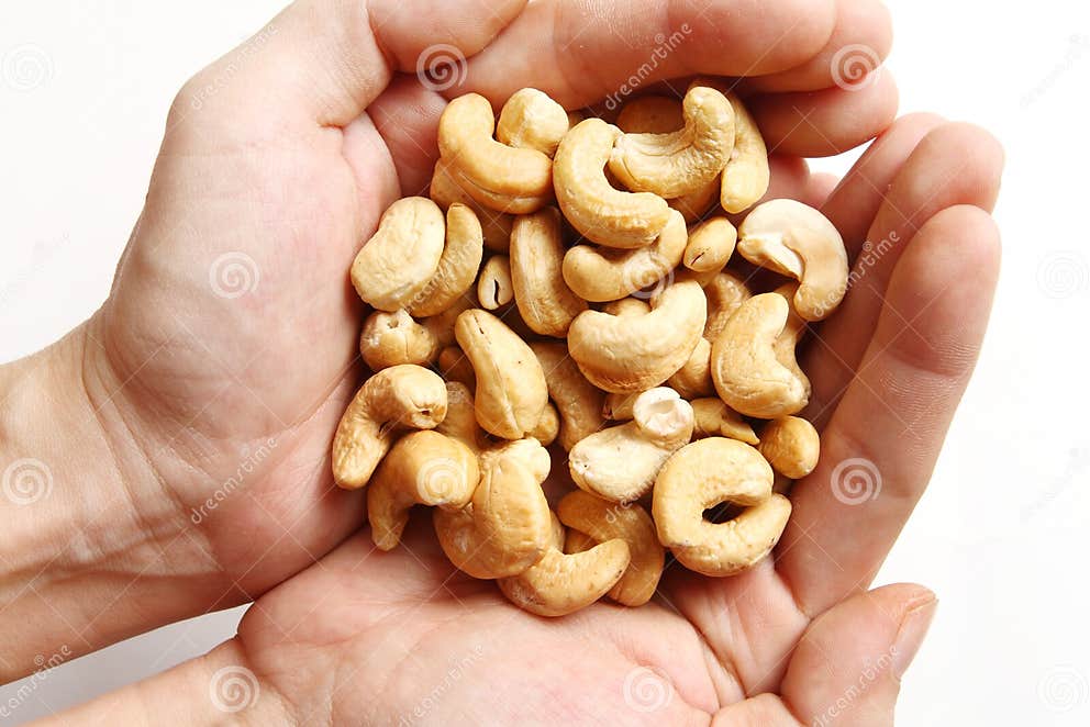 Cashew Nuts stock photo. Image of palms, pile, nuts, shape - 10338804
