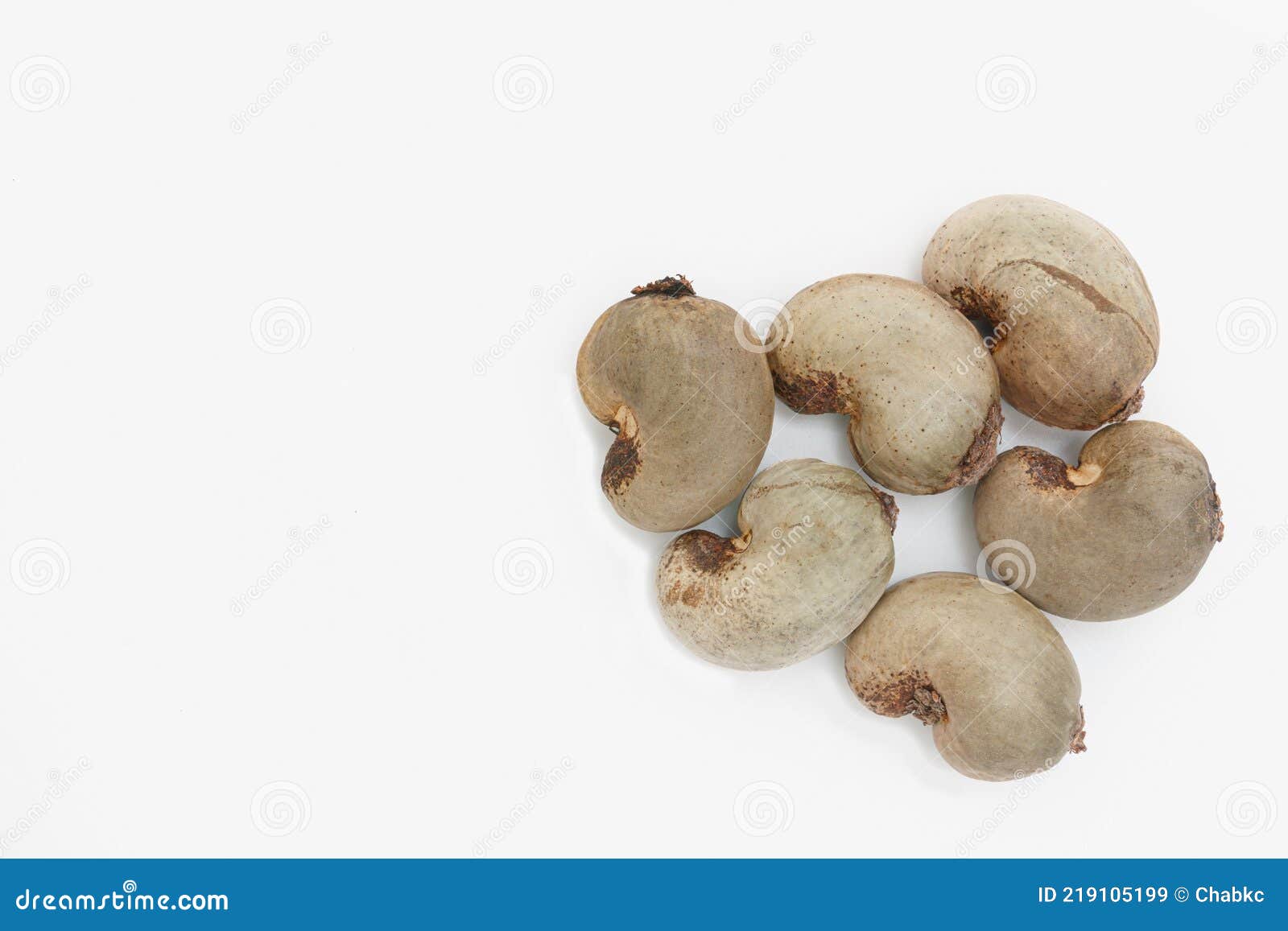 Cashew Nuts Dried with Shell Waiting To Be Processed . Stock Image ...