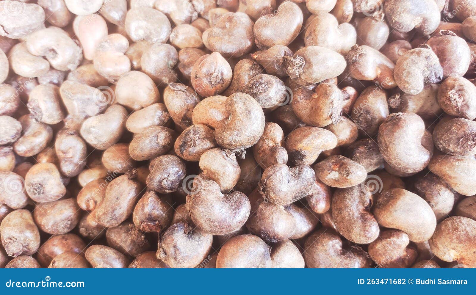 Cashew Nuts Original with Shell Stock Photo - Image of dish, cuisine ...