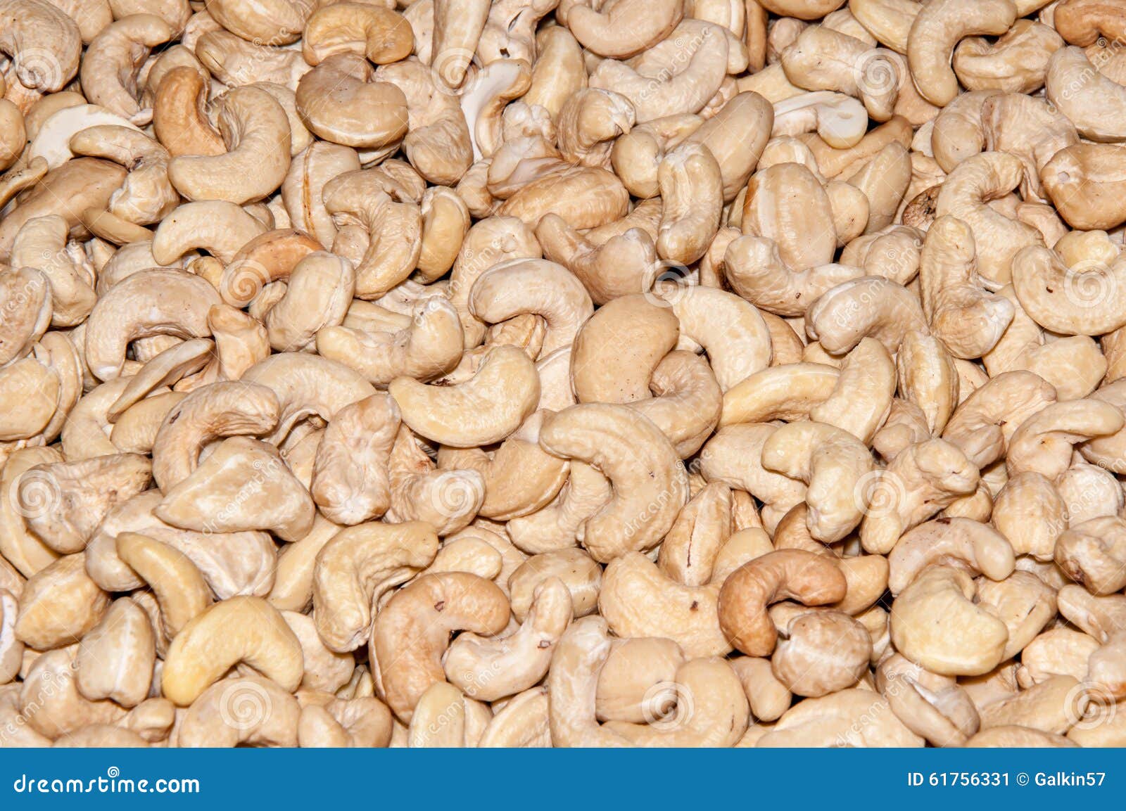 Cashew peeled nut stock image. Image of nutrition, cashew - 61756331