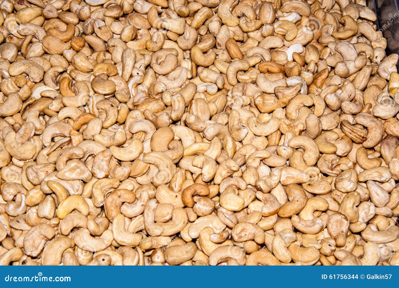 Cashew peeled nut stock photo. Image of hazelnut, nuts - 61756344