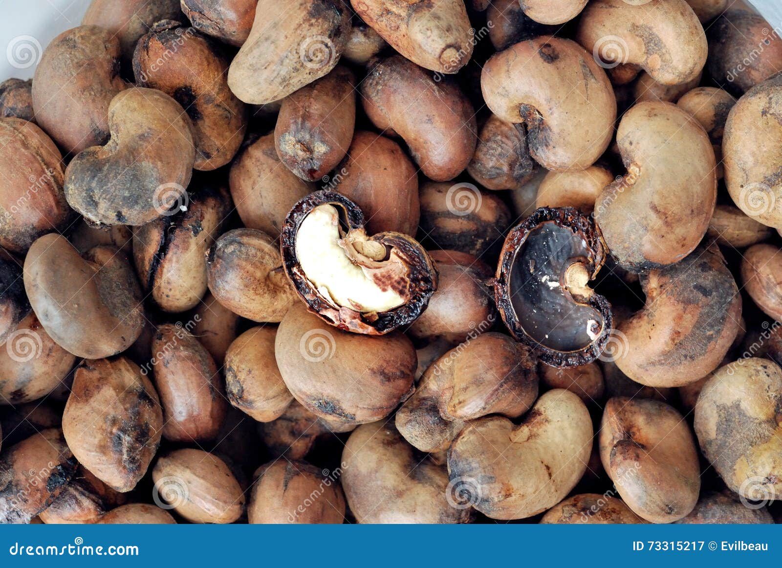 Cashew Shell stock image. Image of nutrition, healthy - 73315217