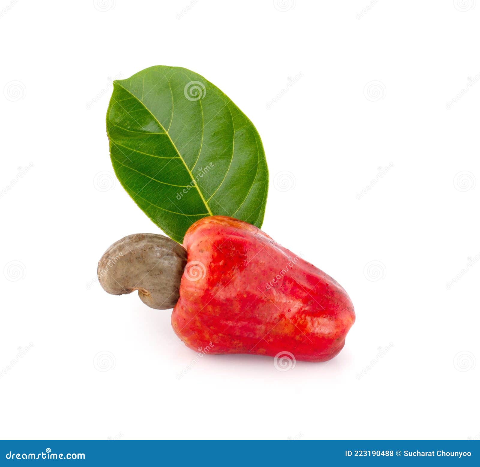 Cashews Or Caju Fruit Isolated On White Background. Royalty-Free Stock ...
