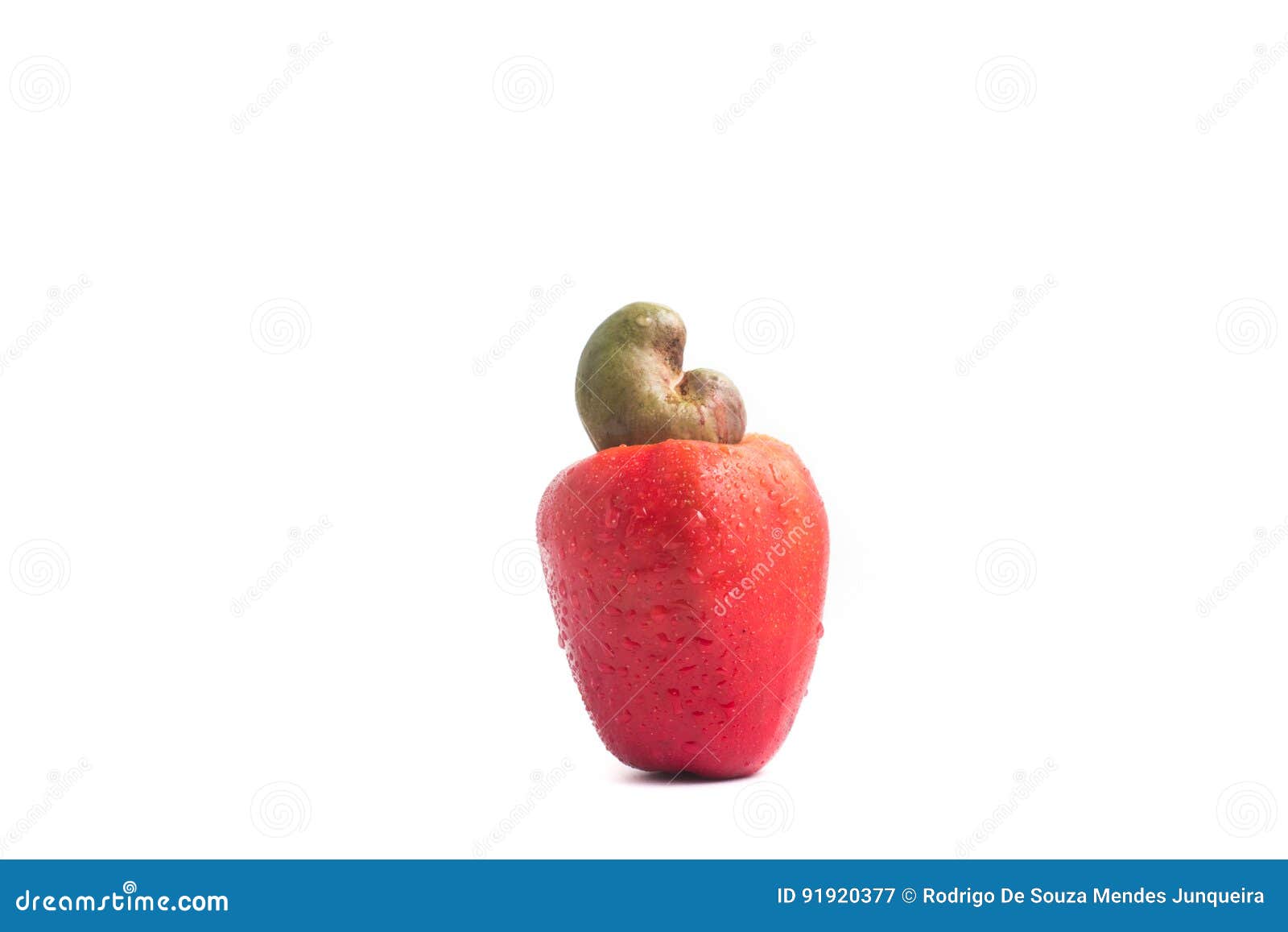 Cashews or Caju Fruit stock image. Image of outdoors - 91920377