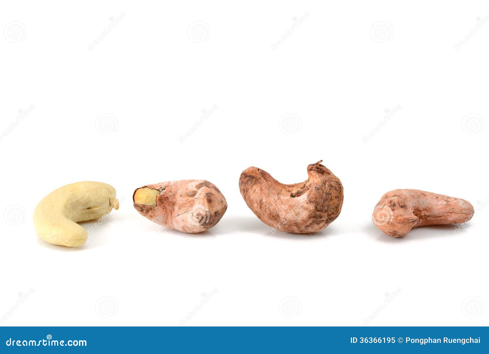 Cashews with shell stock image. Image of nature, shell - 36366195