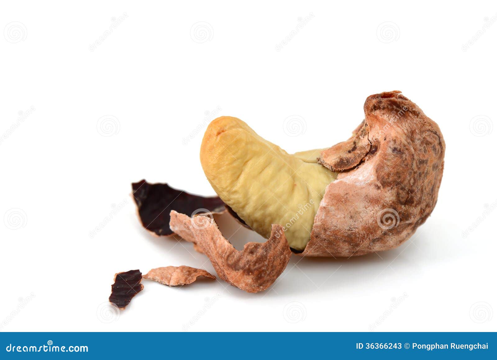 Cashews with shell stock image. Image of seasonal, protein - 36366243
