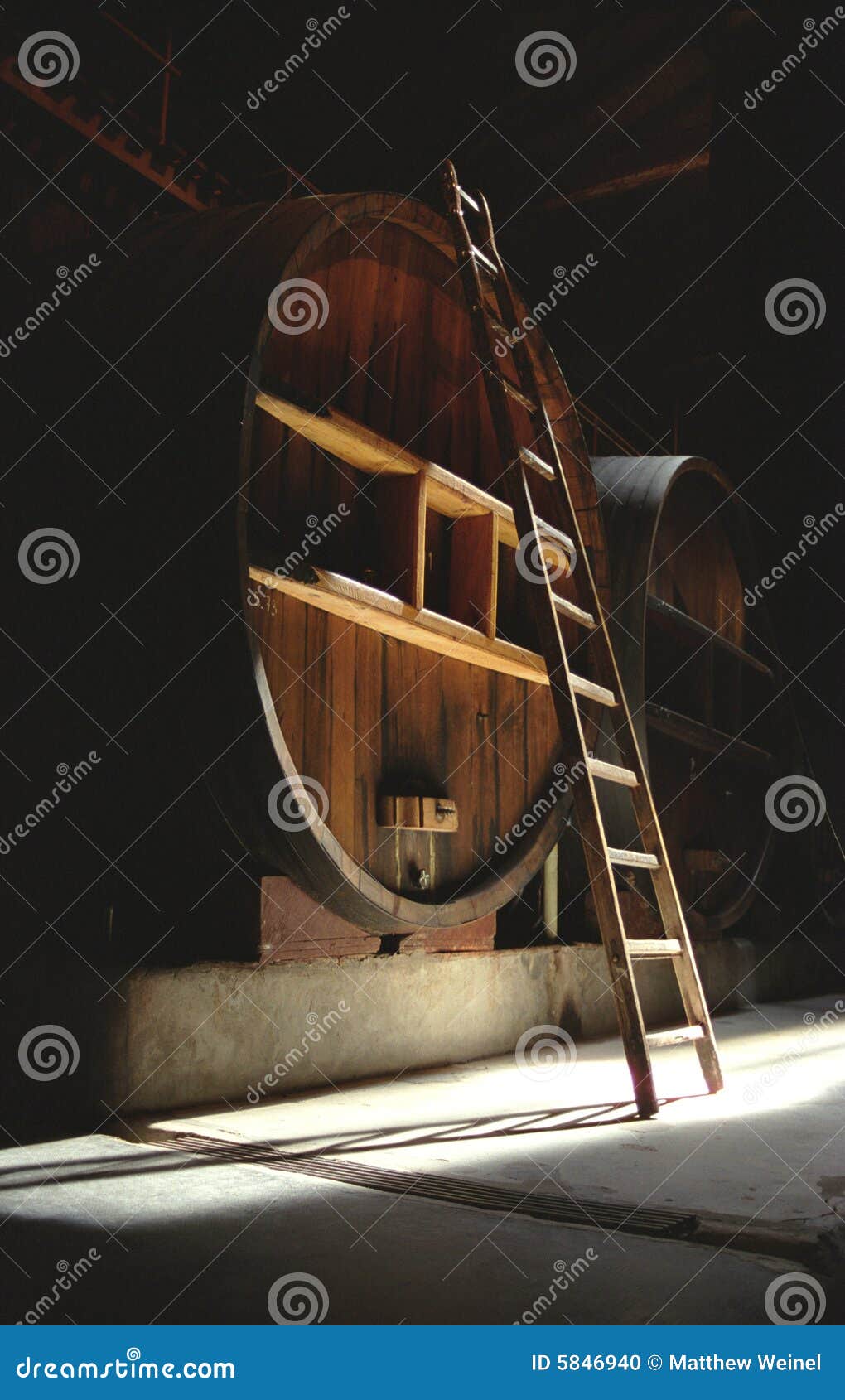 Cask & Ladder in Dark Cellar Stock Photo - Image of grape, alcohol: 5846940