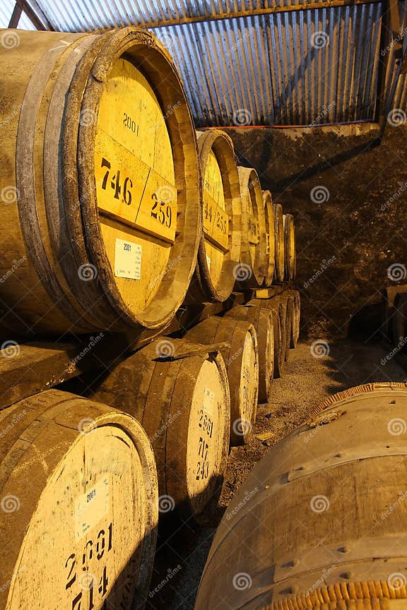 Casks of Whisky stock image. Image of storage, barrel - 9312833