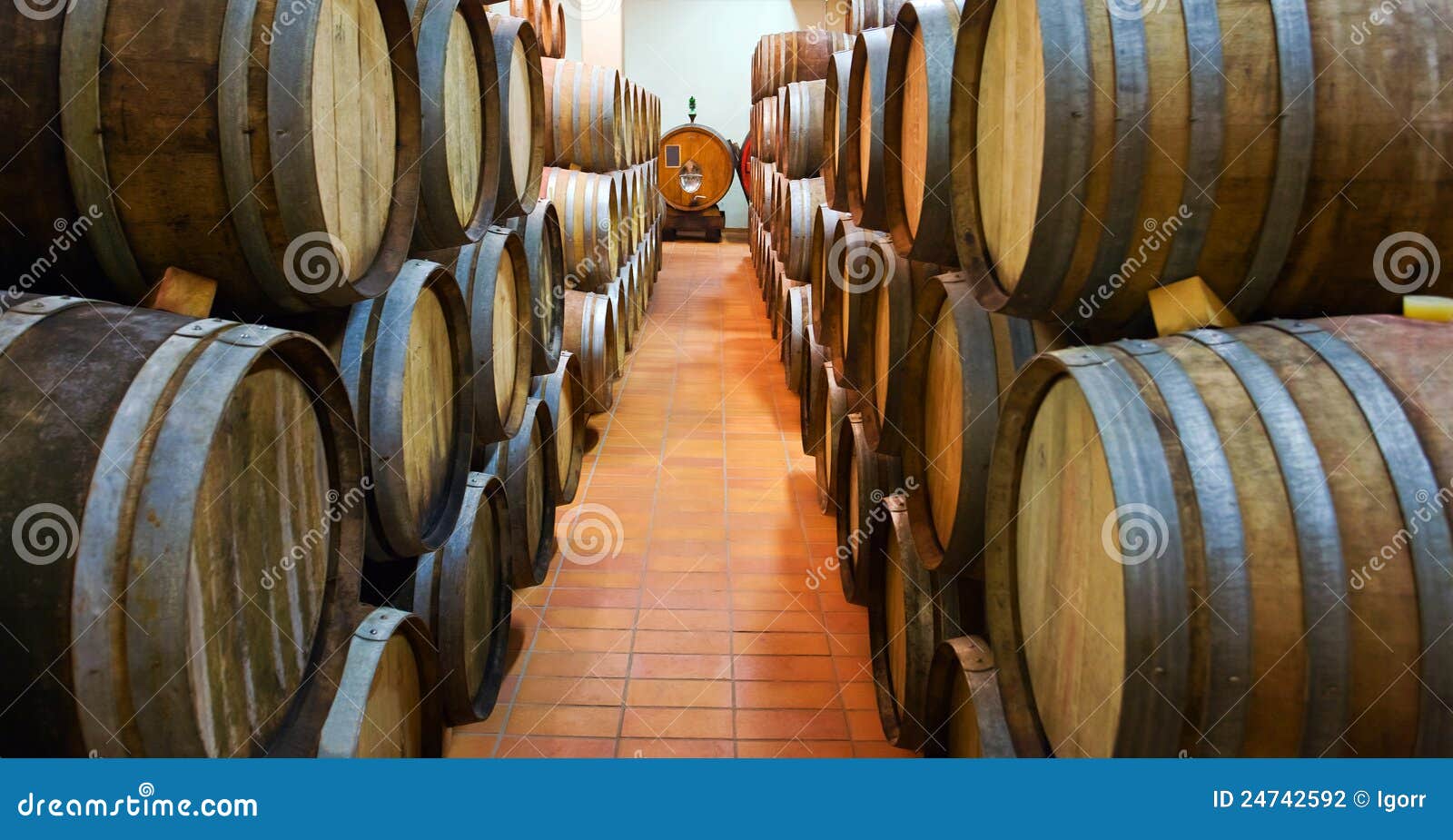 Casks with wine stock photo. Image of tradition, indoor - 24742592