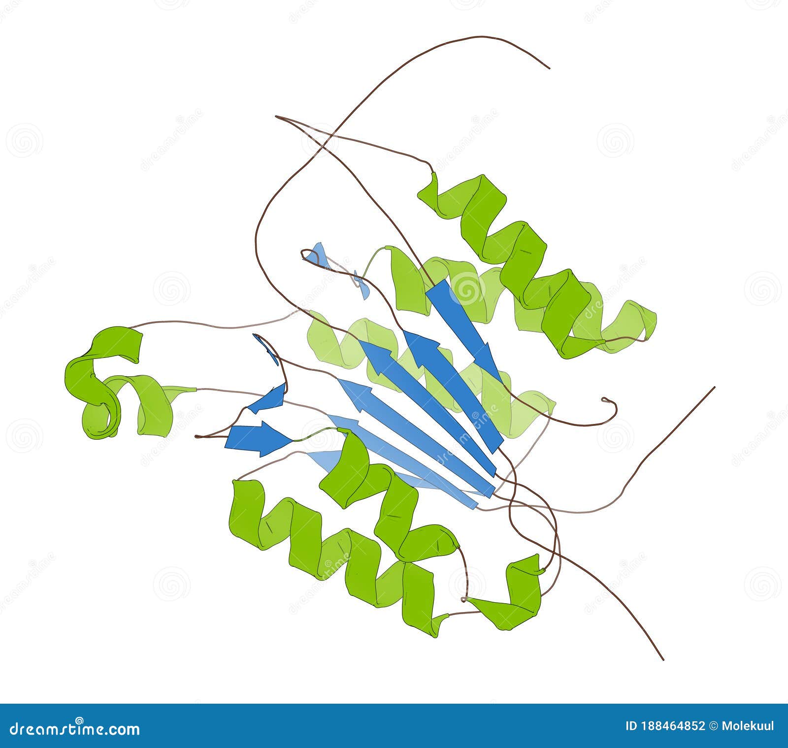 Caspase 3 Apoptosis Protein. Enzyme that Plays Important Role in ... Caspase 3 Apoptosis Protein. Enzyme that Plays Important Role in ...