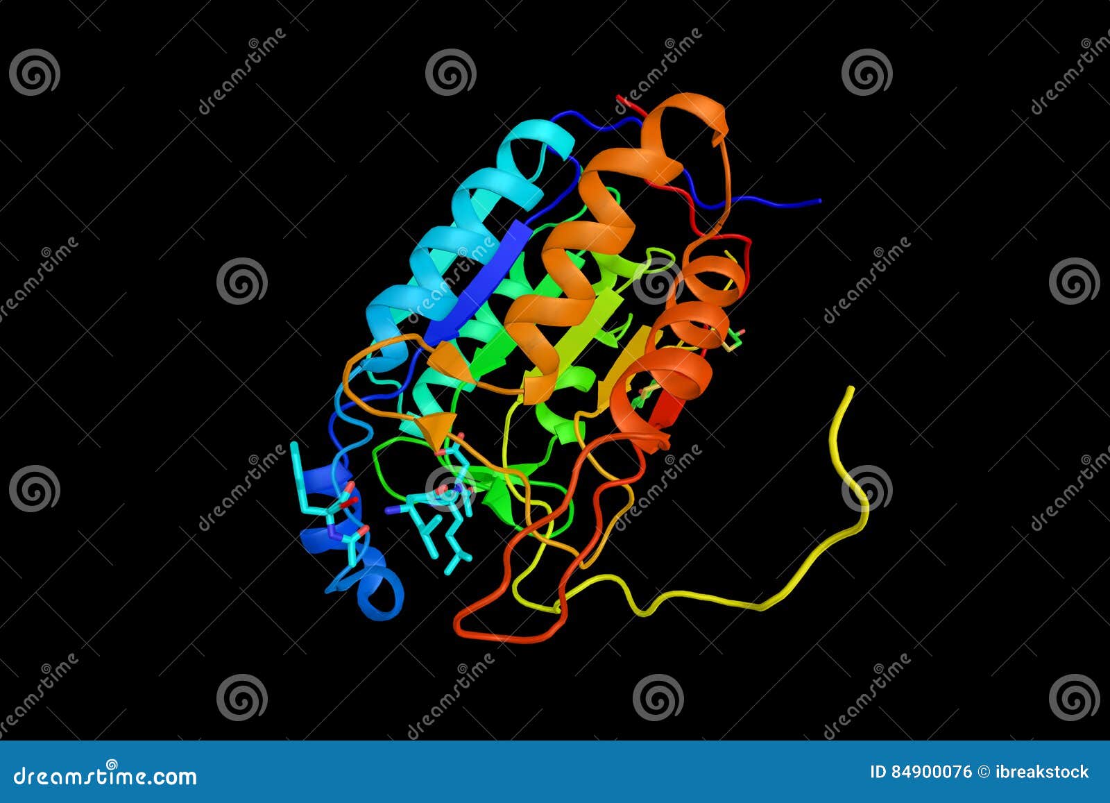 Caspase-3, a Caspase Protein that Interacts with Caspase-8 and C Stock ...