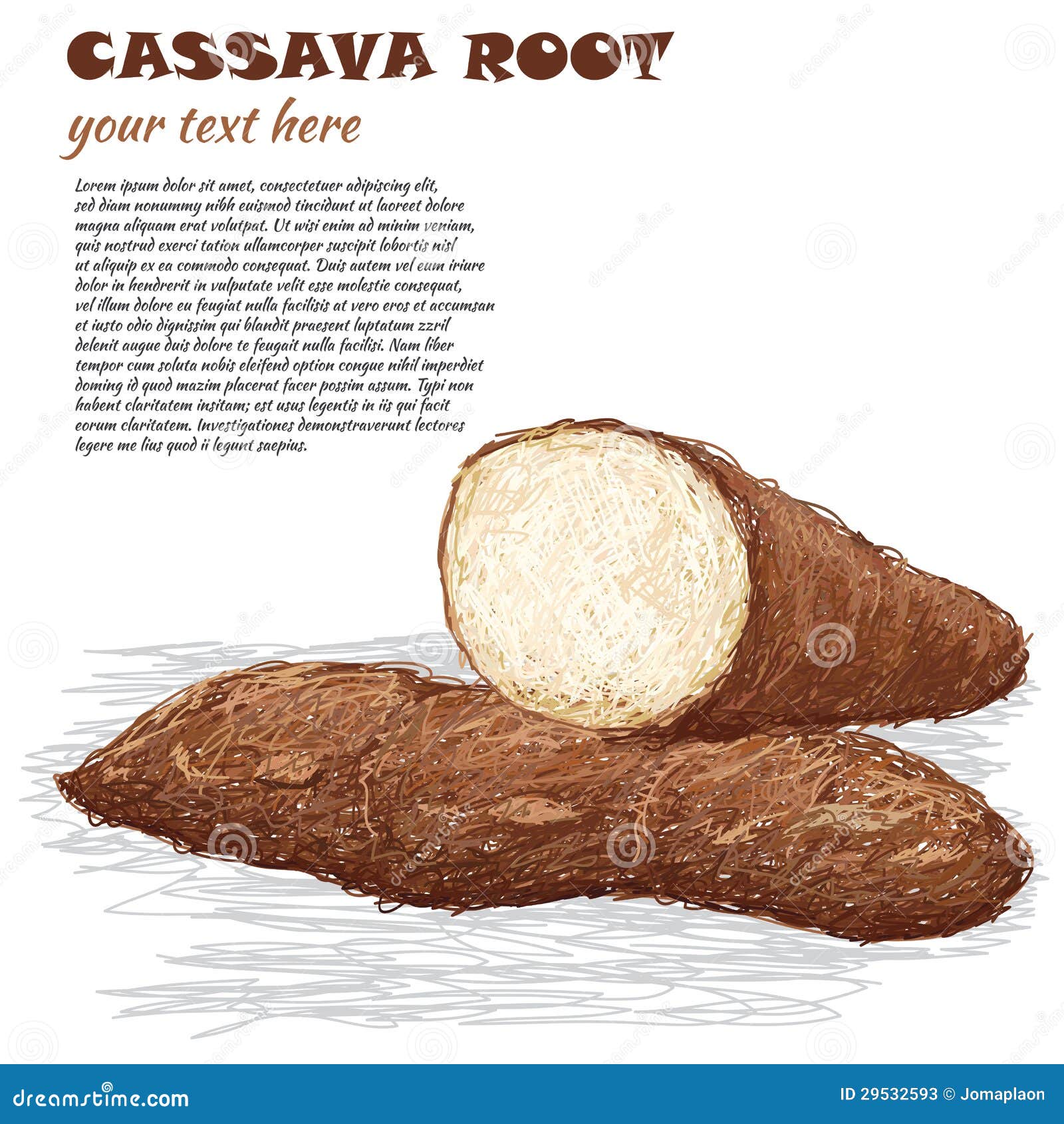 Cassava stock illustration. Illustration of root, starchy - 29532593