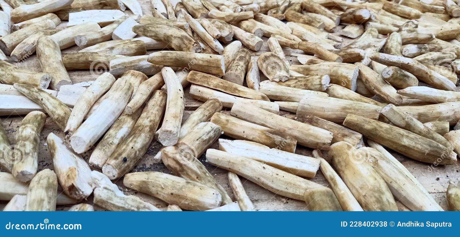Cassava Being Dried on the Floor Stock Photo - Image of plant, snack ...