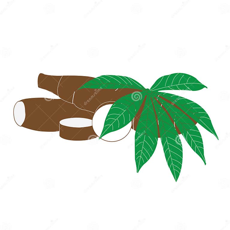 Cassava icon stock vector. Illustration of cuisine, farming - 290990475